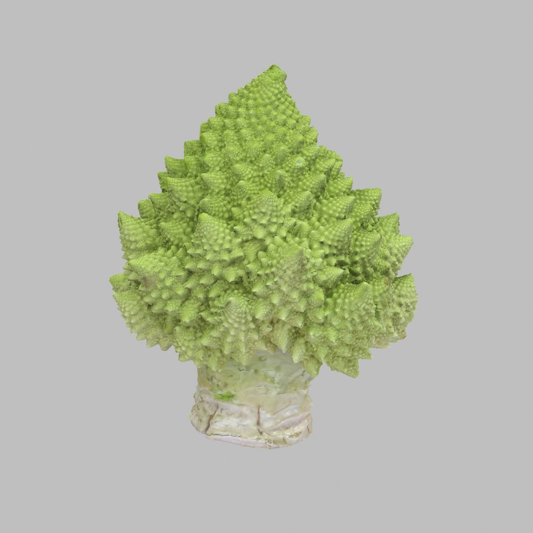 Scan 3D - TurboSquid 1530044