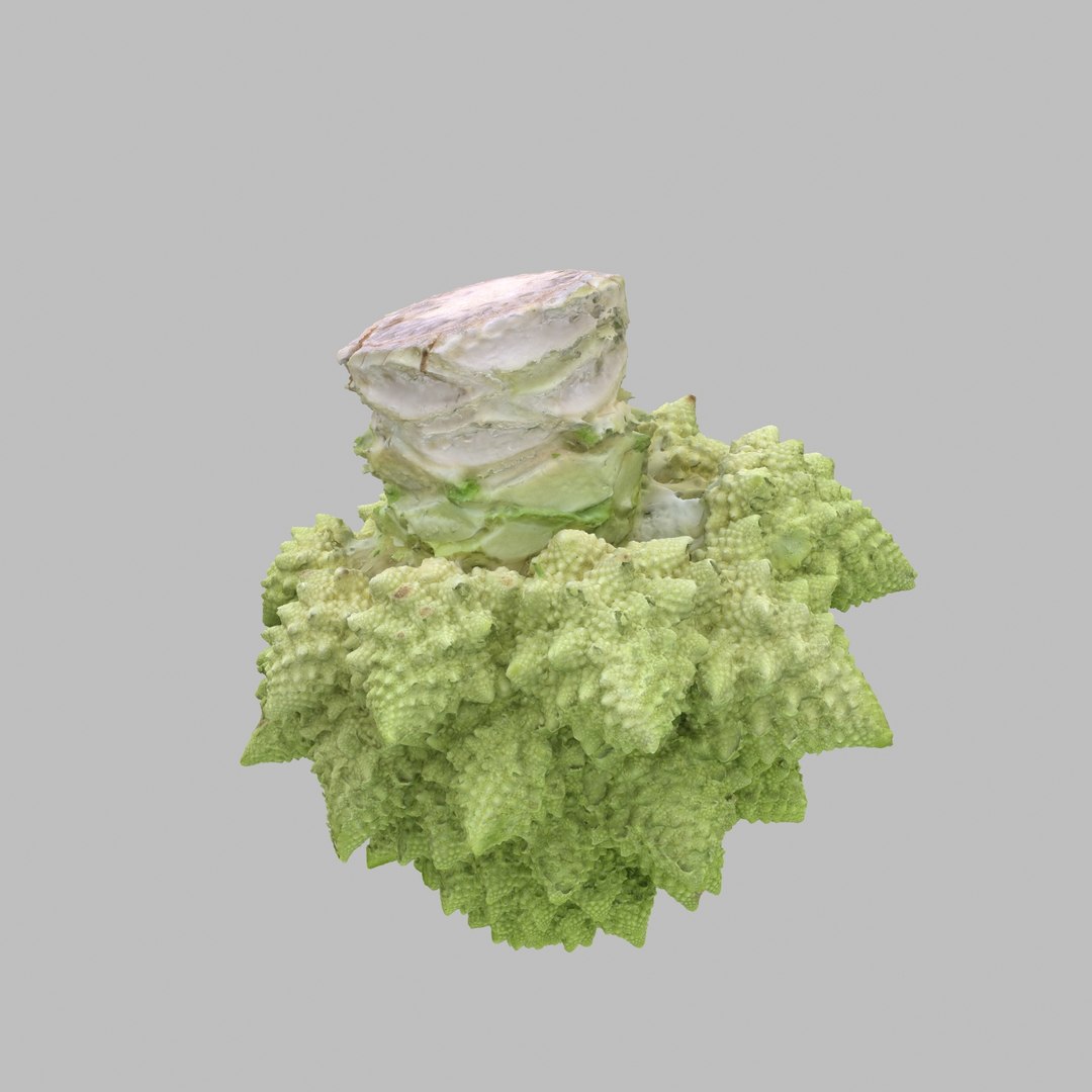 Scan 3D - TurboSquid 1530044