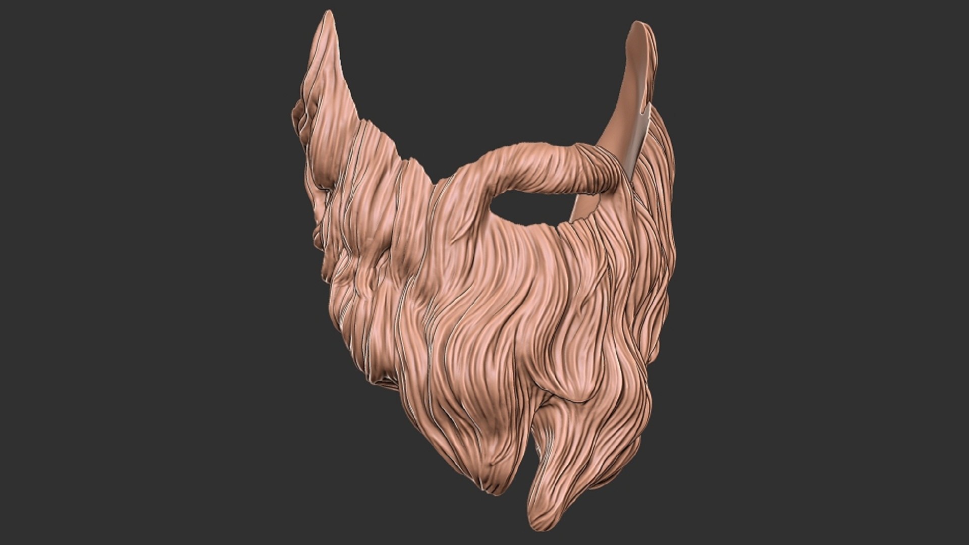 Beard 3 3D Model - TurboSquid 1815421