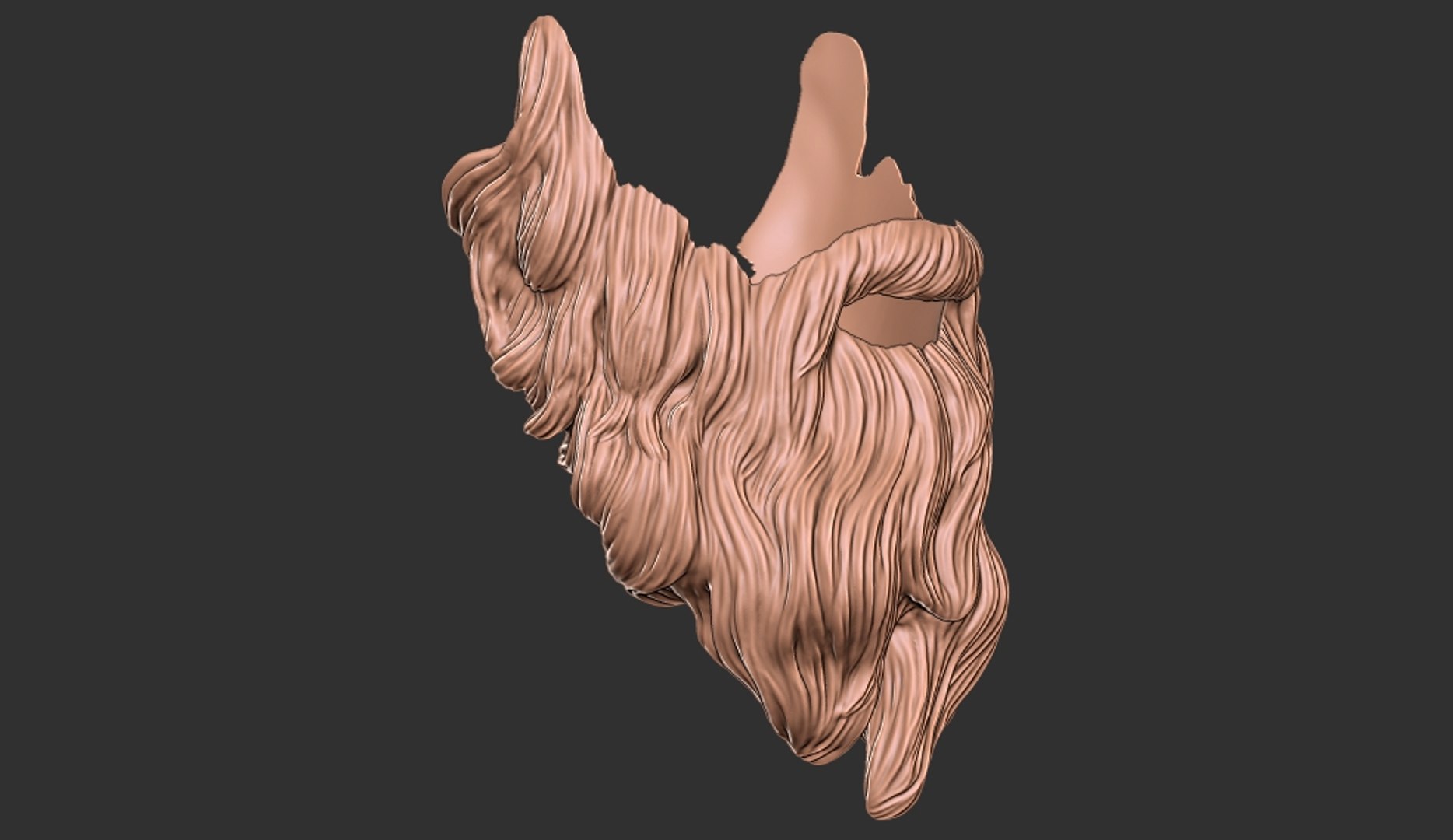 Beard 3 3D Model - TurboSquid 1815421