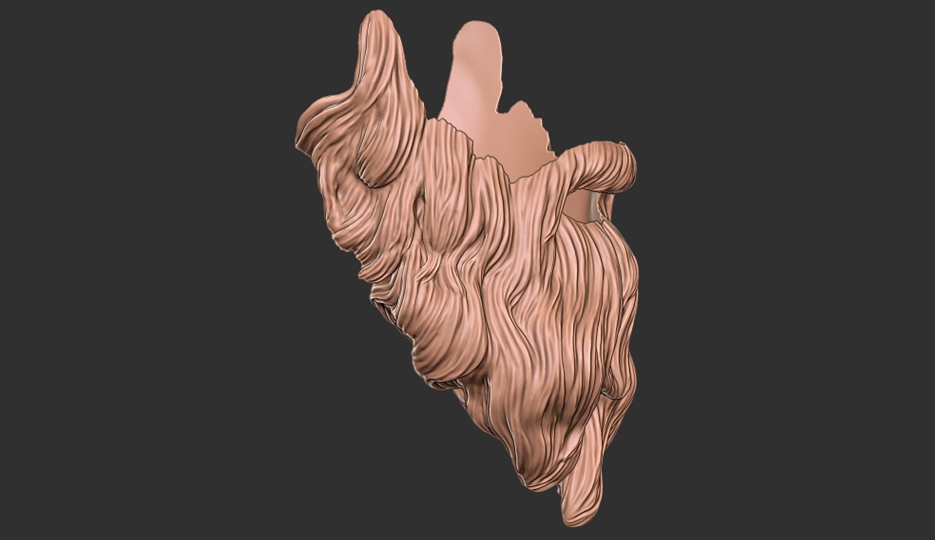 Beard 3 3D Model - TurboSquid 1815421