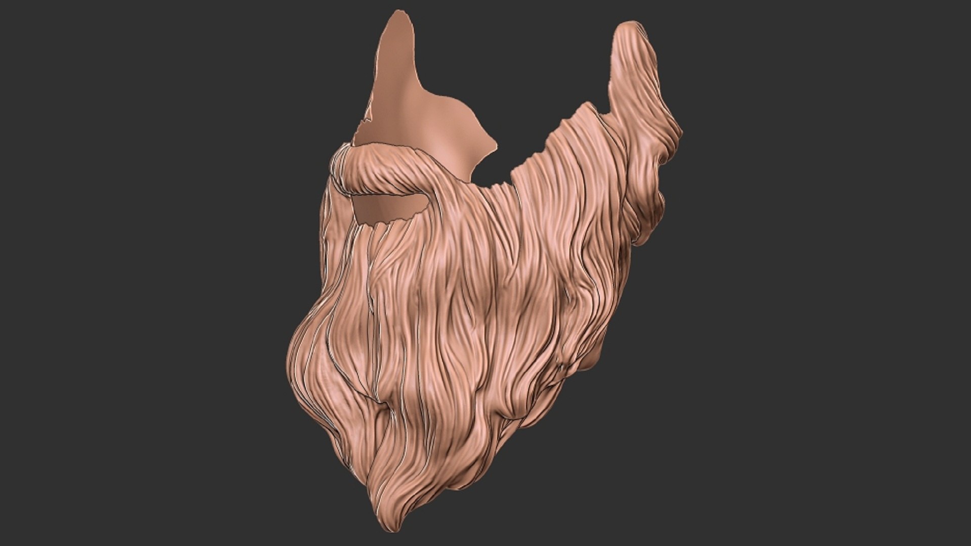 Beard 3 3D Model - TurboSquid 1815421