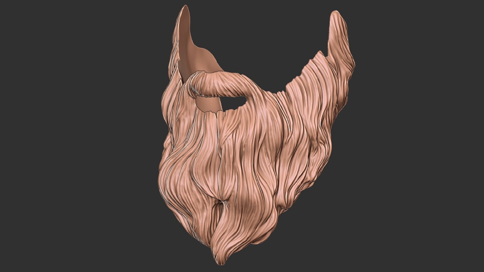 Beard 3 3D Model - TurboSquid 1815421