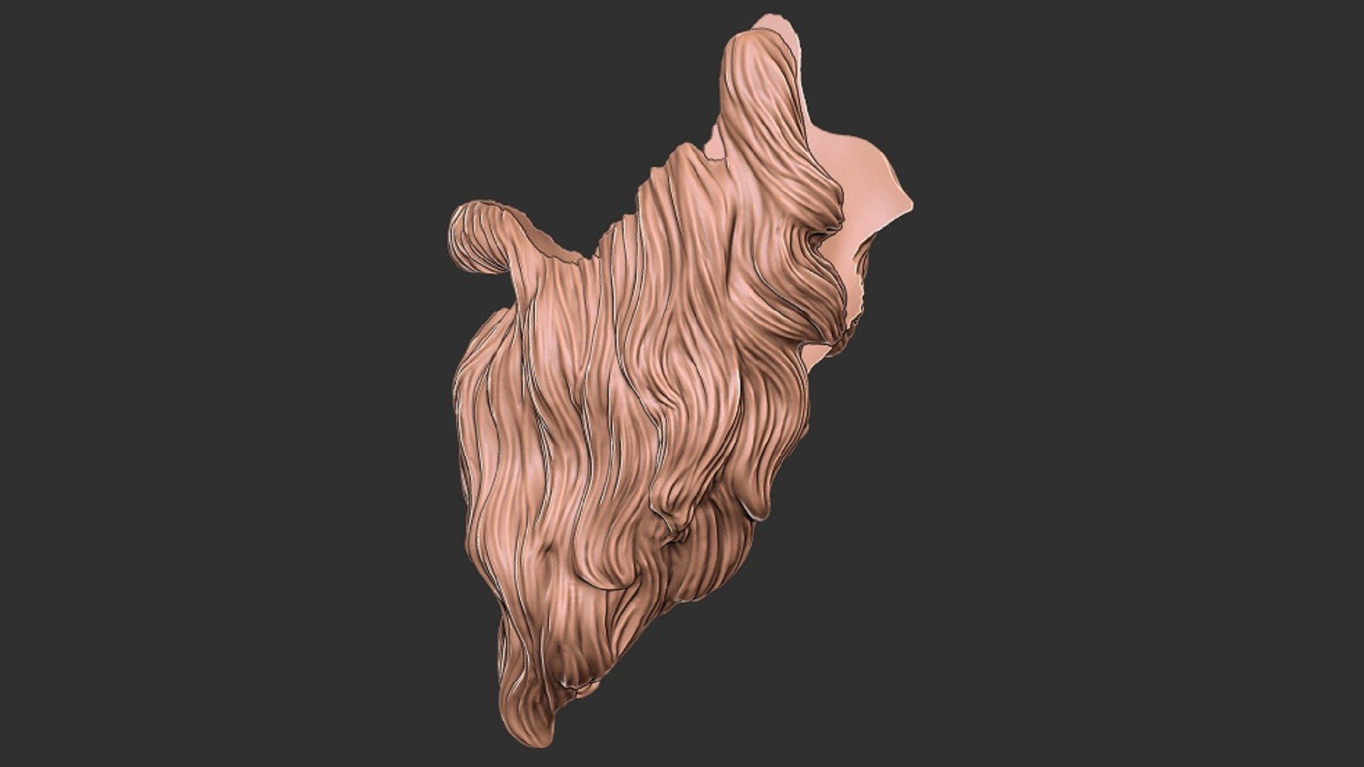 Beard 3 3D Model - TurboSquid 1815421