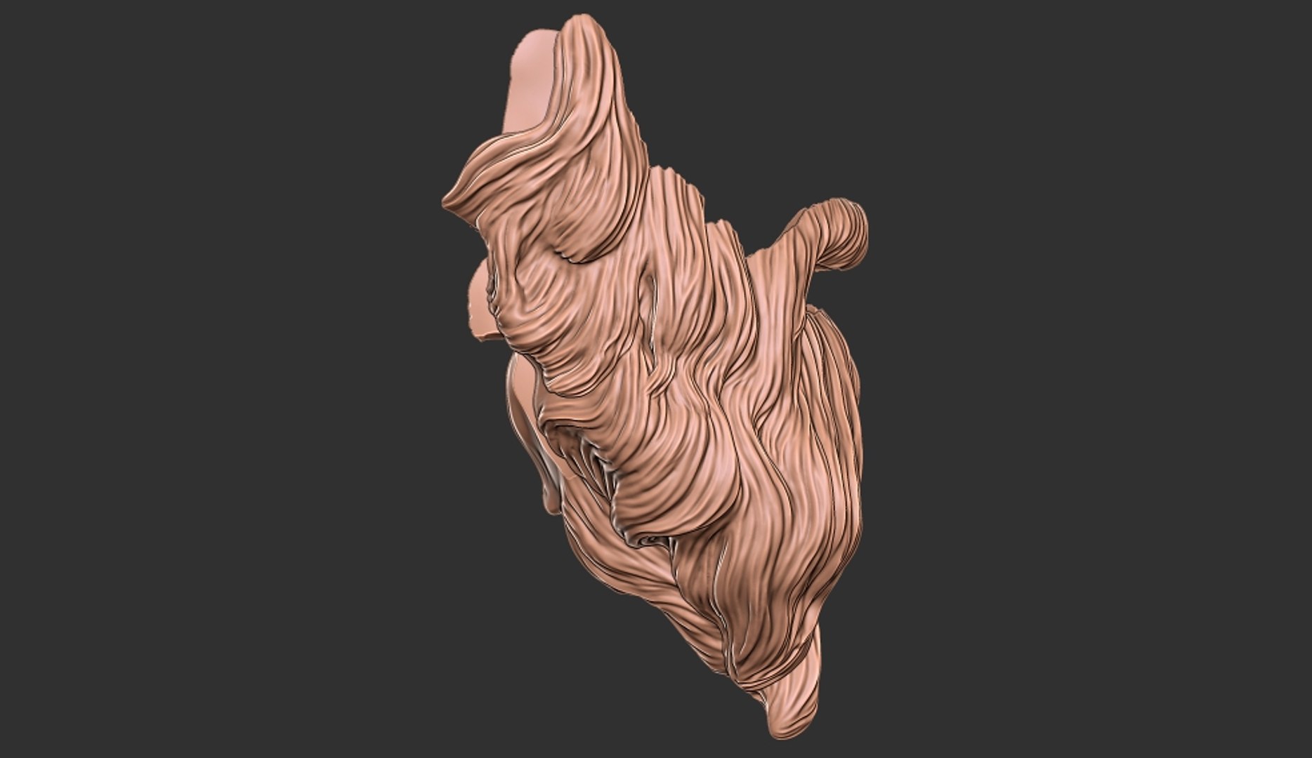 Beard 3 3D Model - TurboSquid 1815421