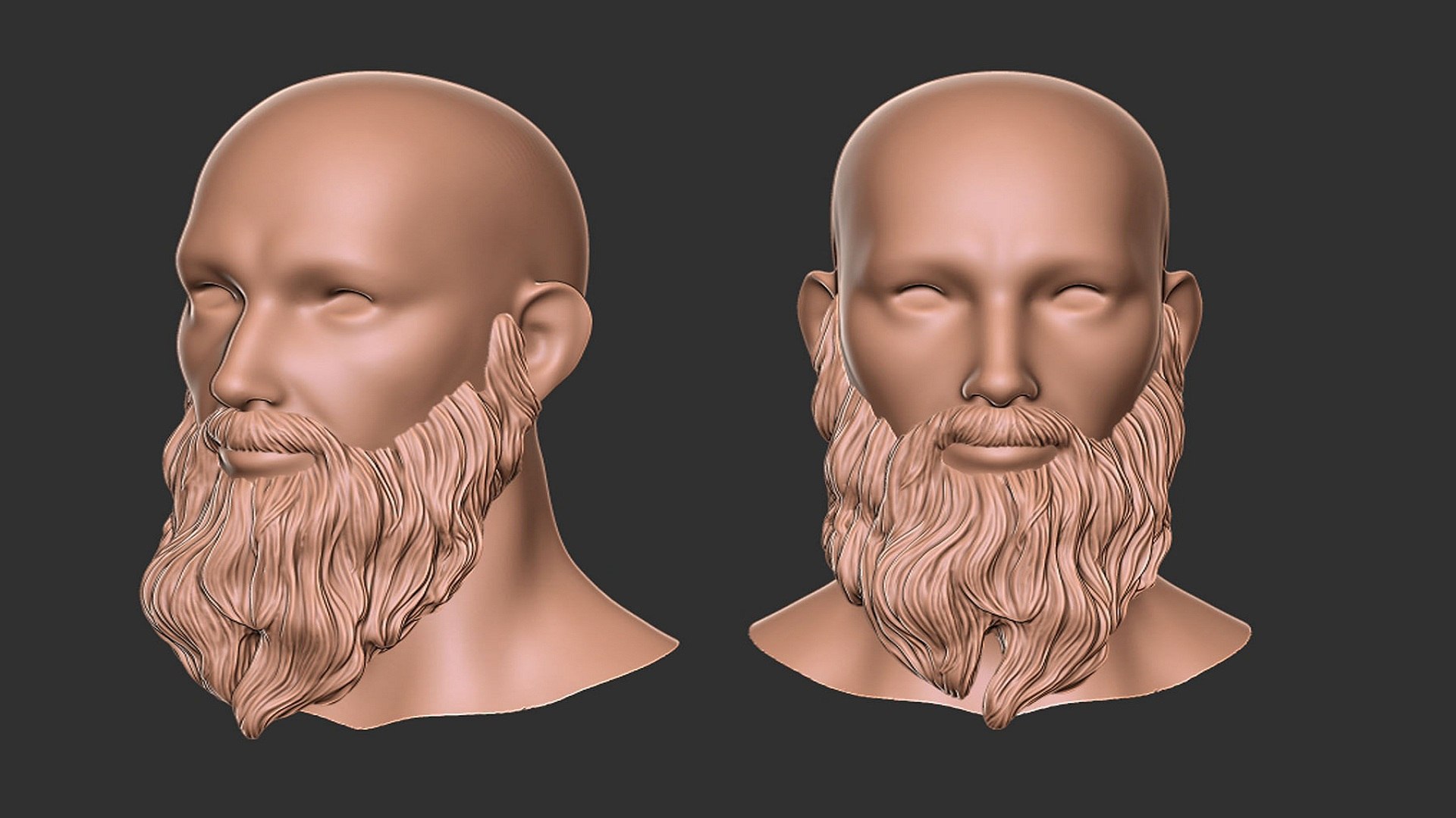 Beard 3 3D Model - TurboSquid 1815421