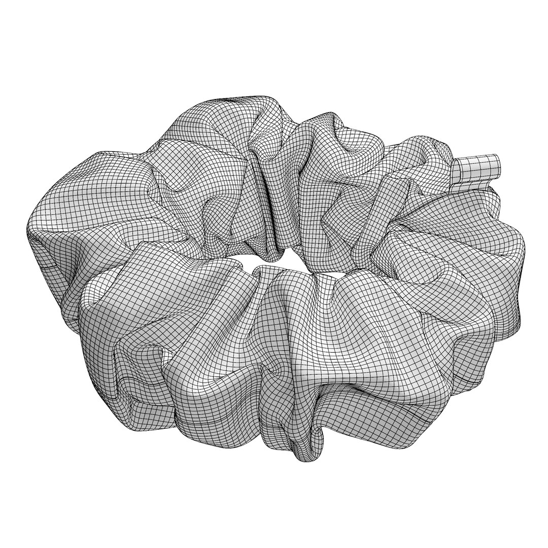 3D Scrunchie model - TurboSquid 2056895