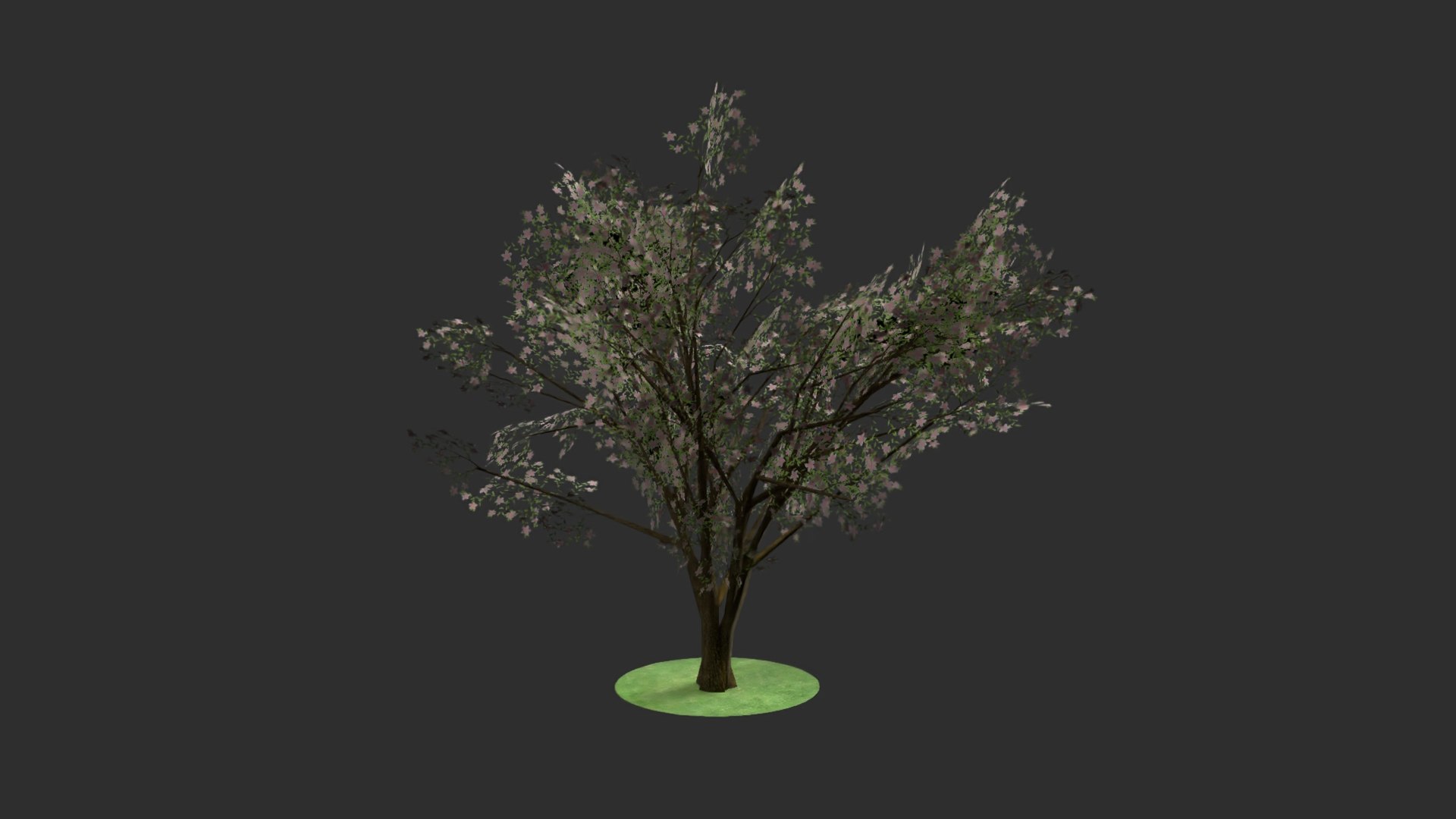 3D Model Almond Flowers - TurboSquid 1619472