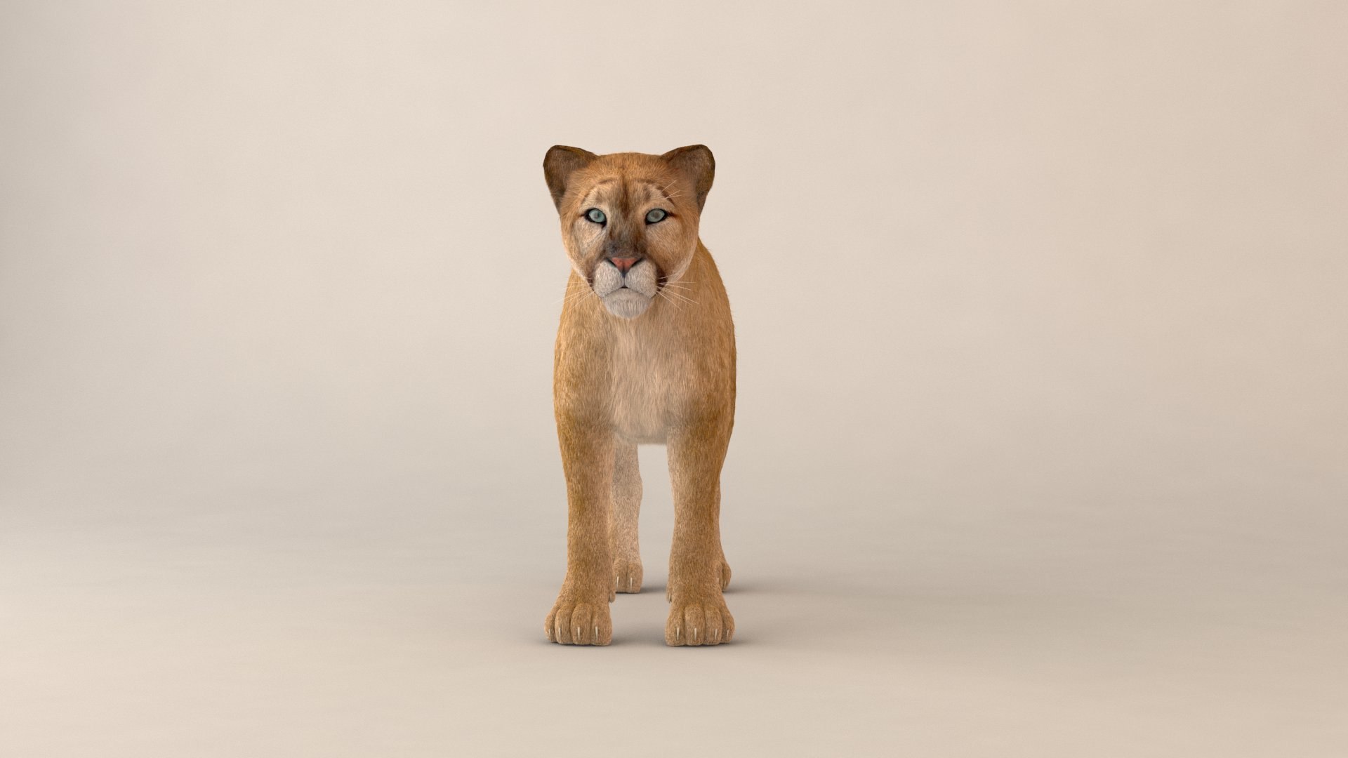 Vary Tiger Fur 3D Model - TurboSquid 1434527