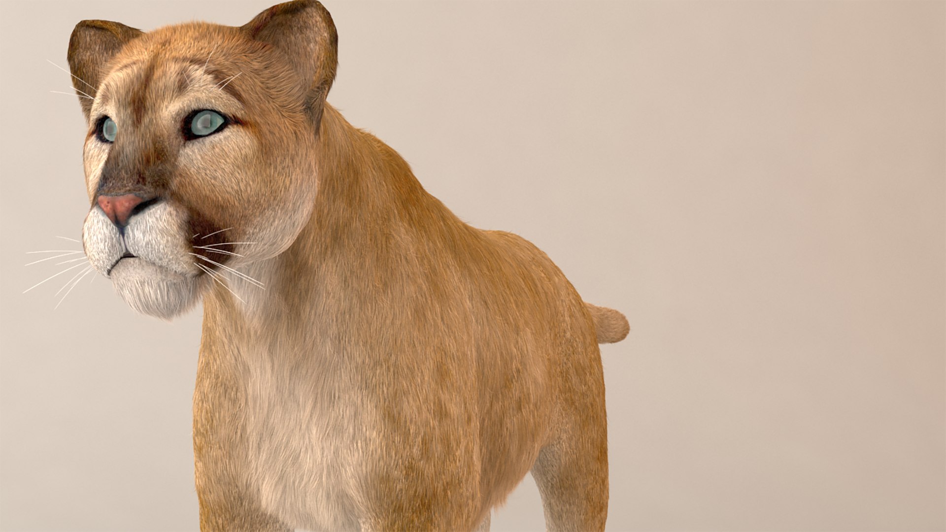 Vary Tiger Fur 3D Model - TurboSquid 1434527
