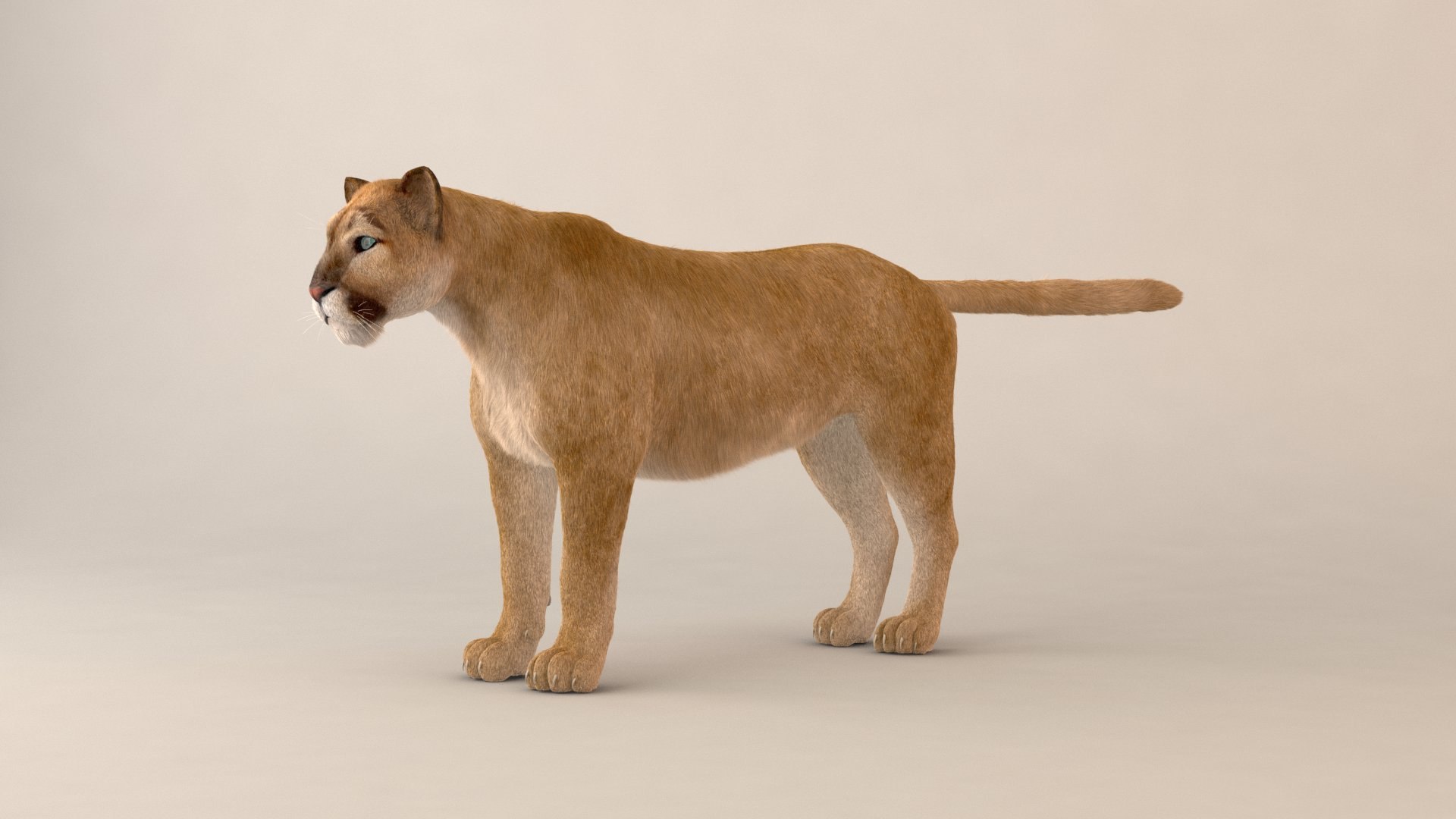 Vary Tiger Fur 3D Model - TurboSquid 1434527