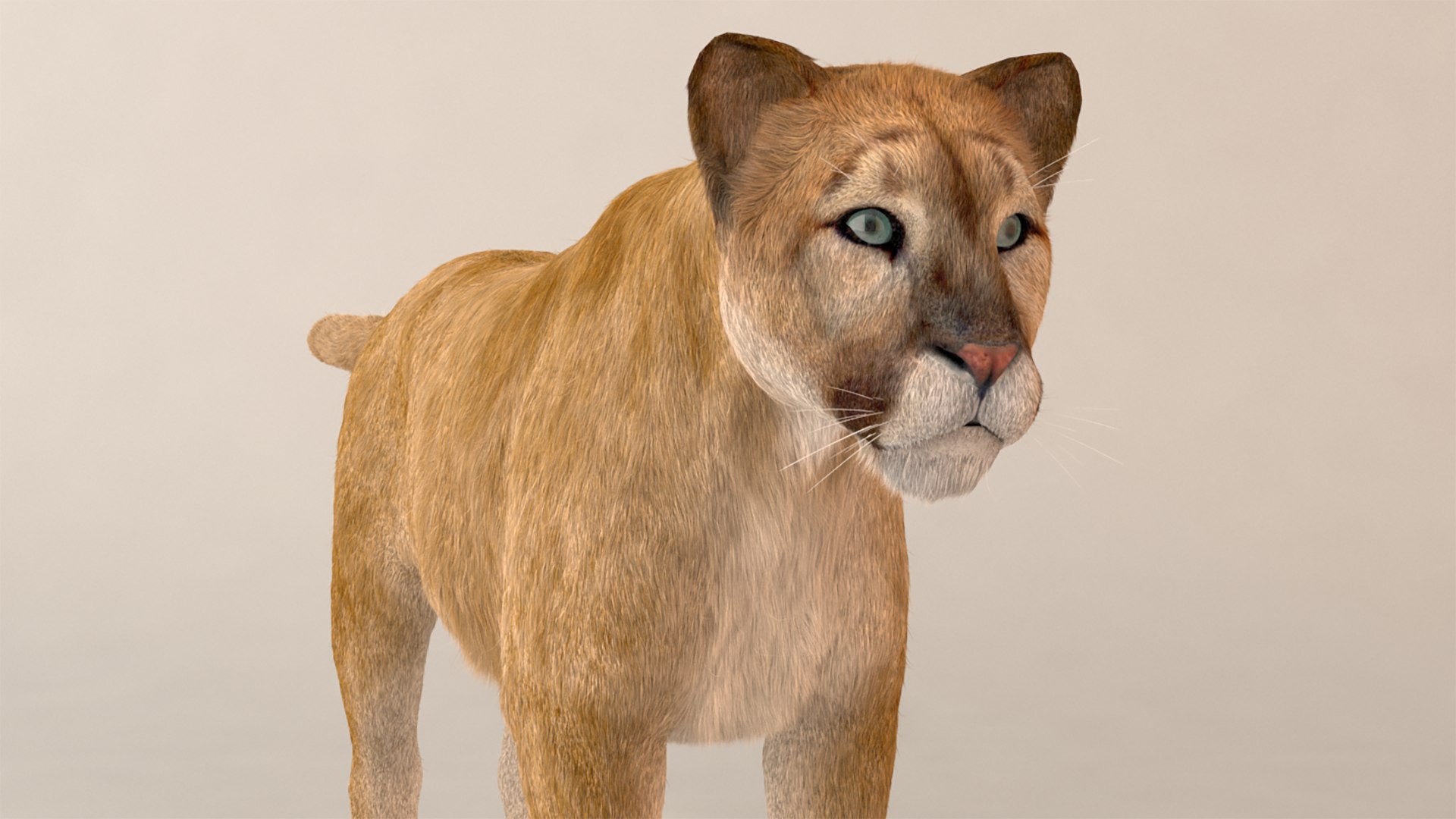 Vary Tiger Fur 3D Model - TurboSquid 1434527