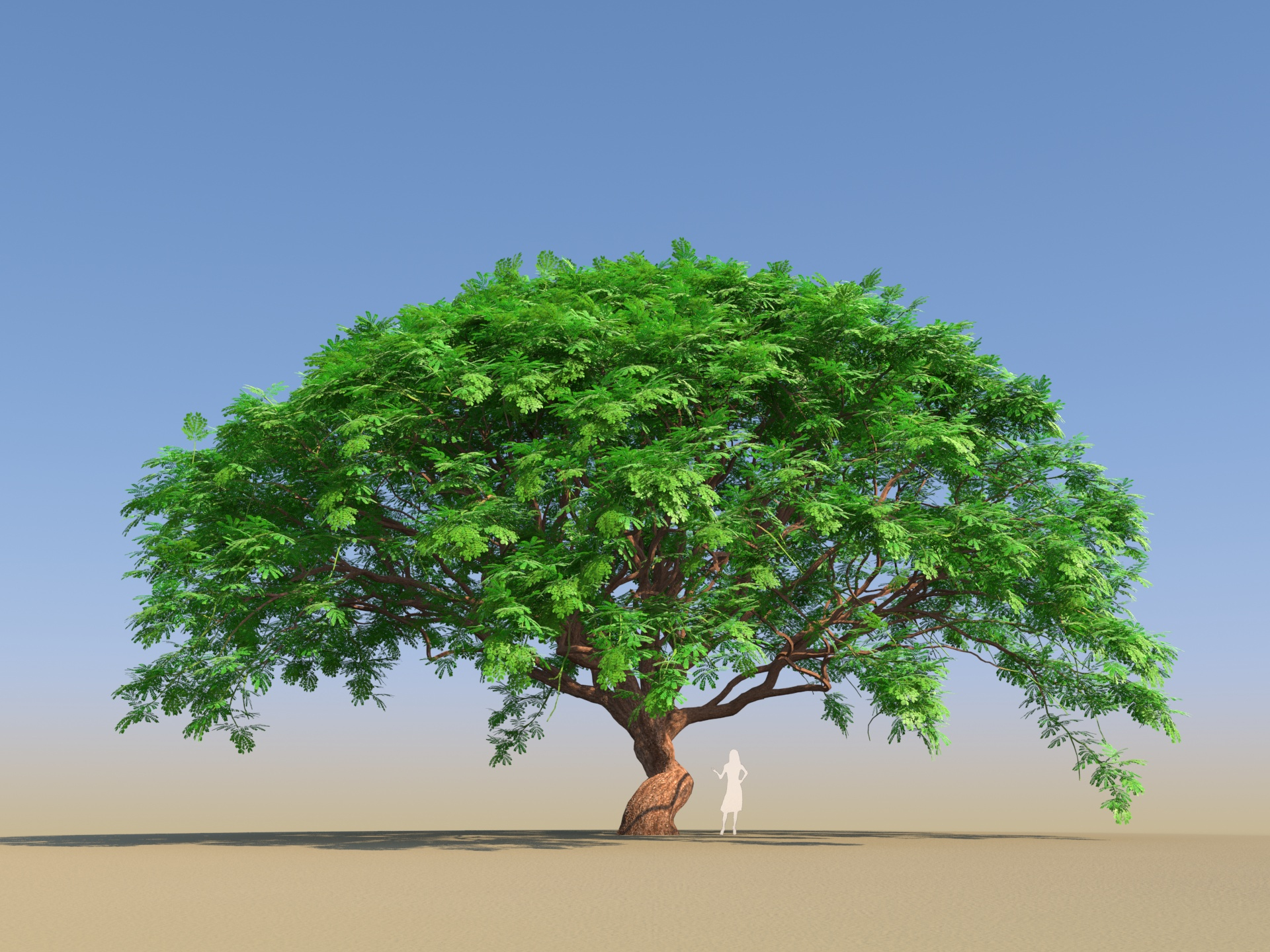 modelo 3d Samanea Saman Set - TurboSquid 1978502