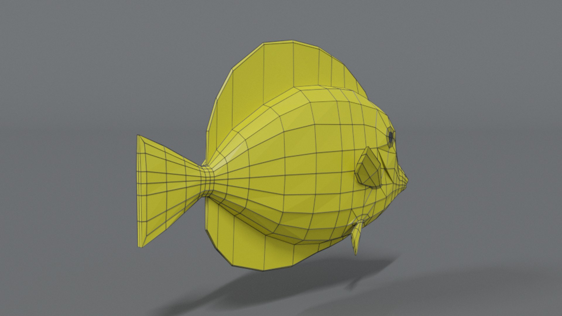 Yellow tang fish 3D model - TurboSquid 1562226