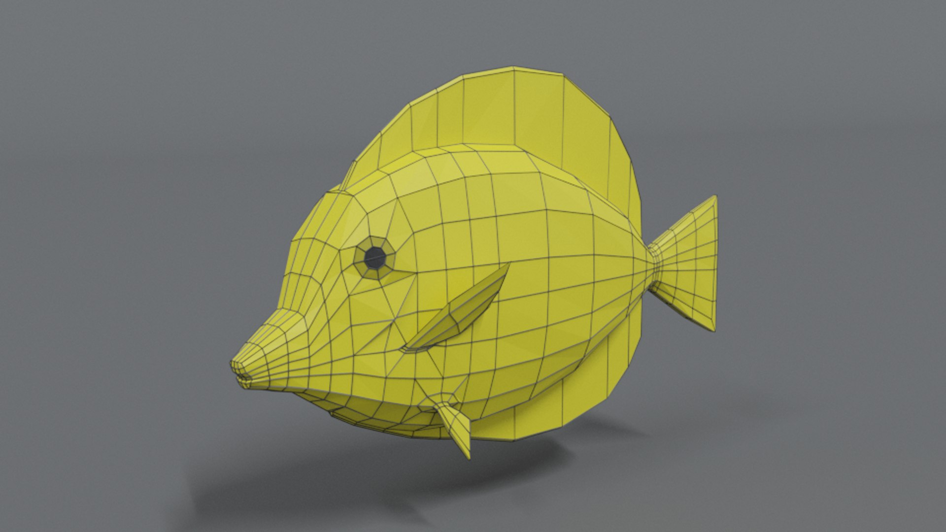 Yellow tang fish 3D model - TurboSquid 1562226