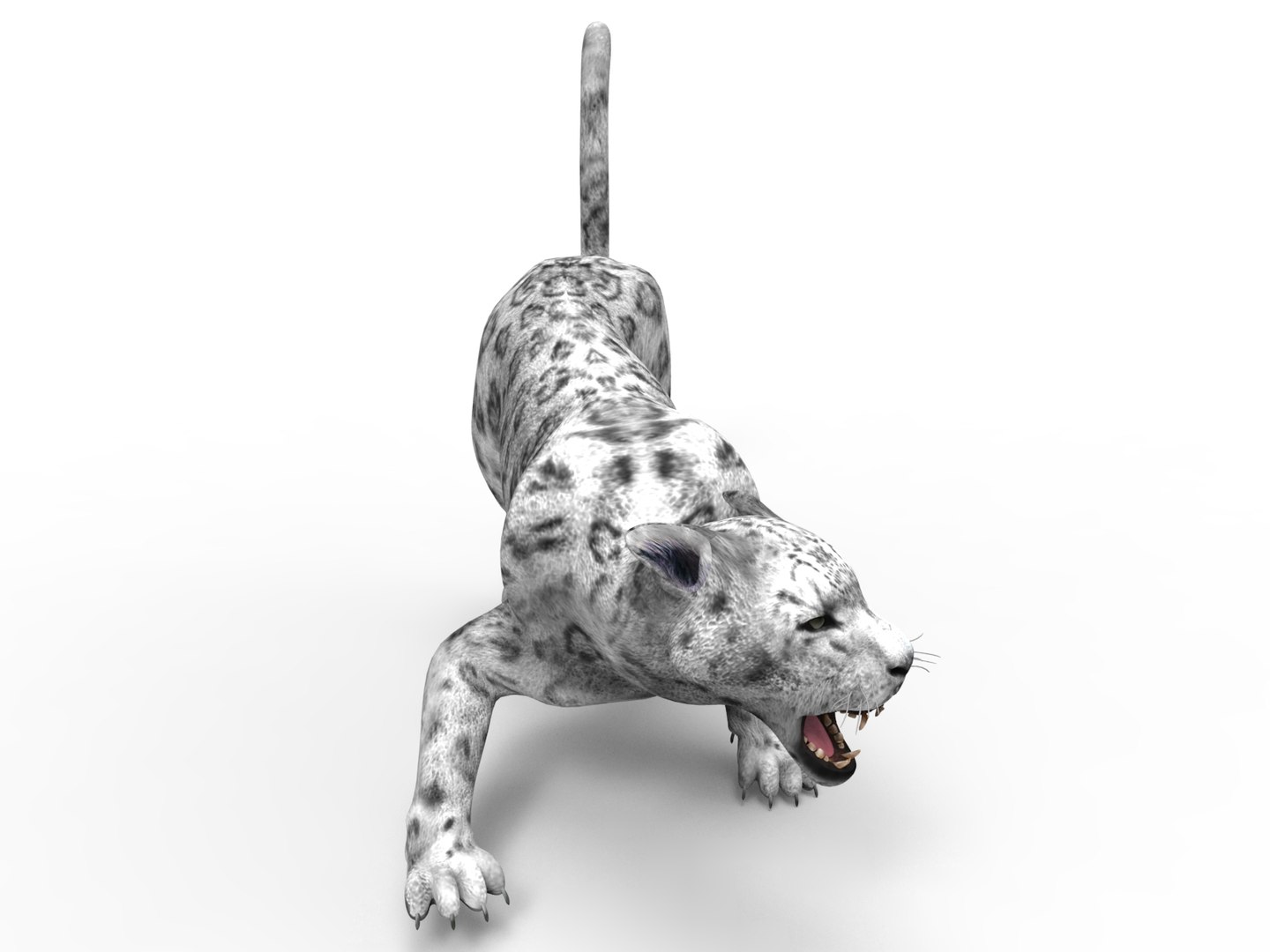 Leopard Rigged Animation 3D - TurboSquid 1293568