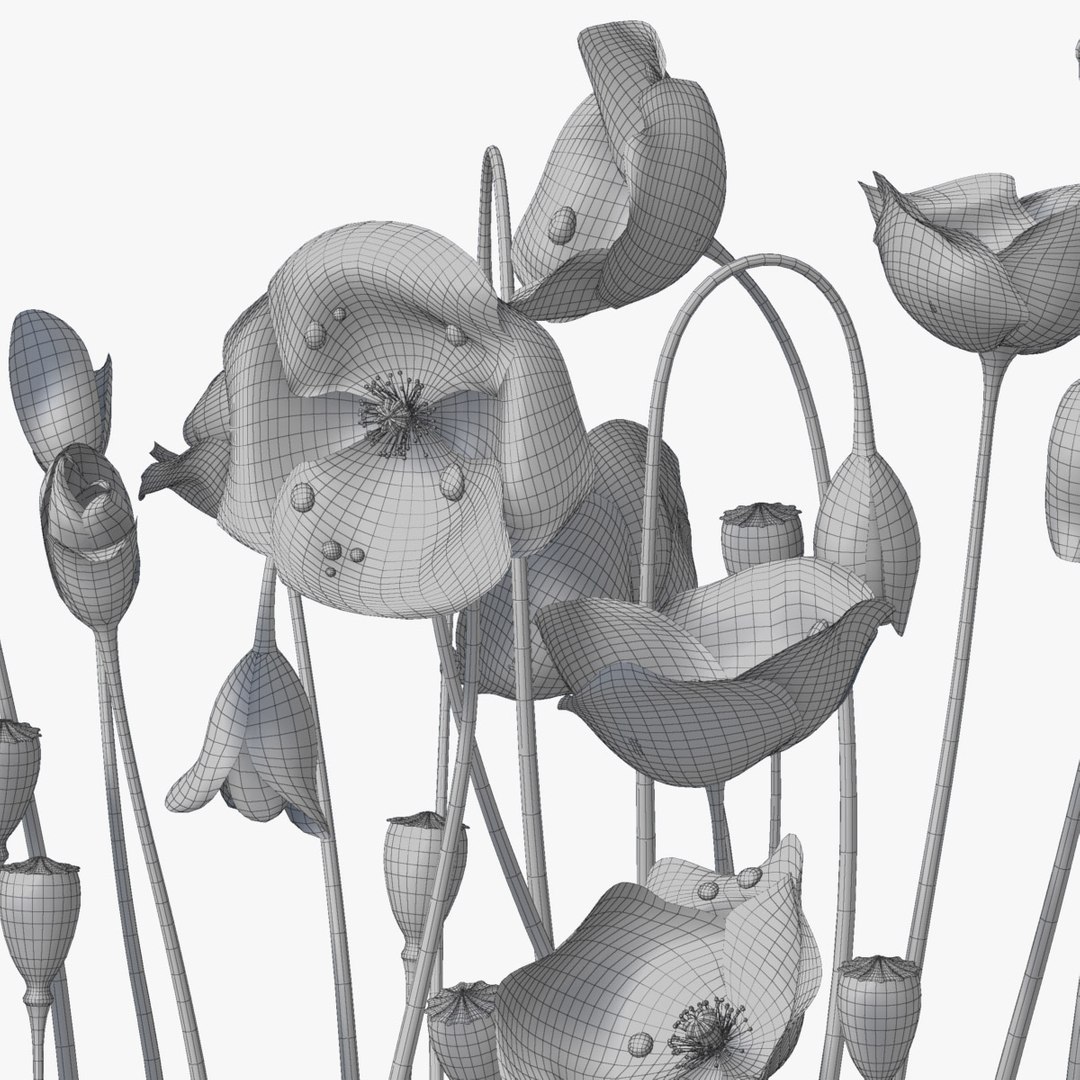 3D Poppies Capsule - TurboSquid 1163582