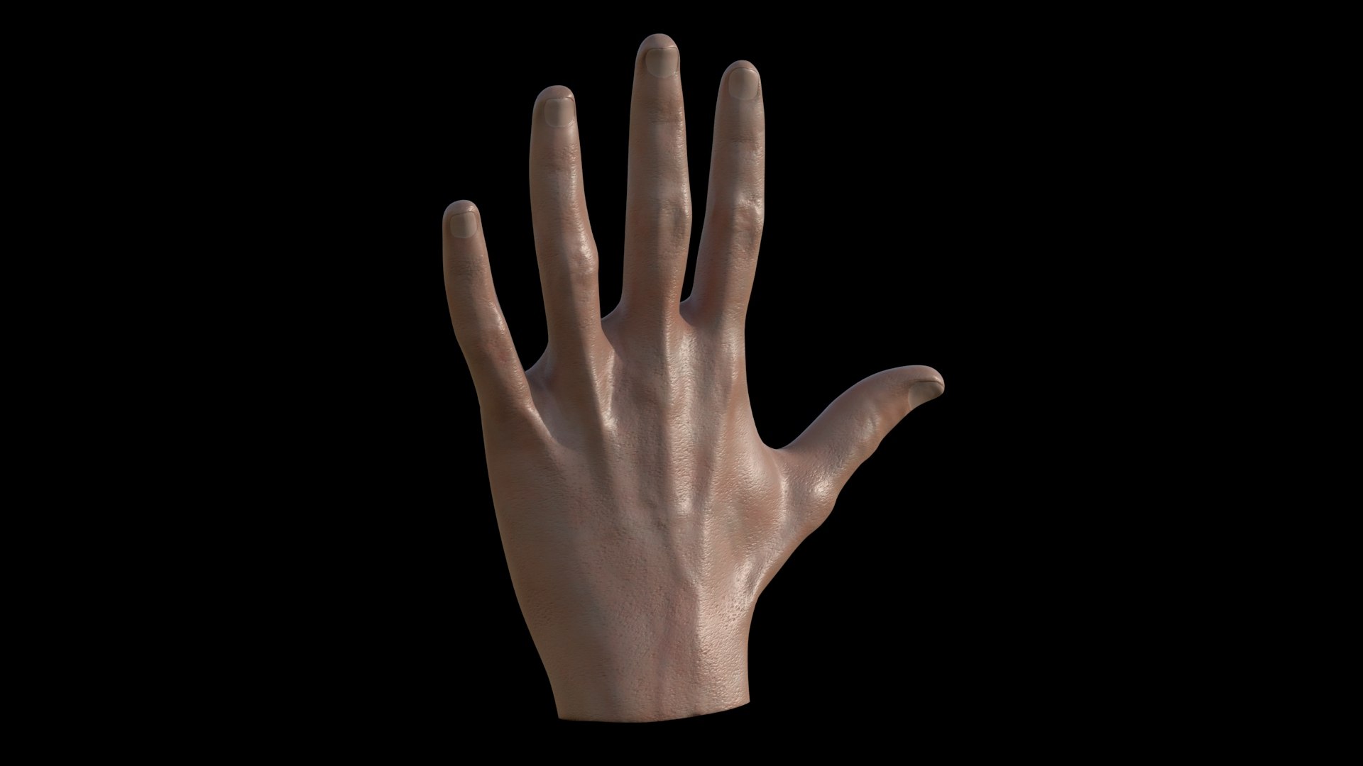 Hand Lowpoly Model - TurboSquid 2129425