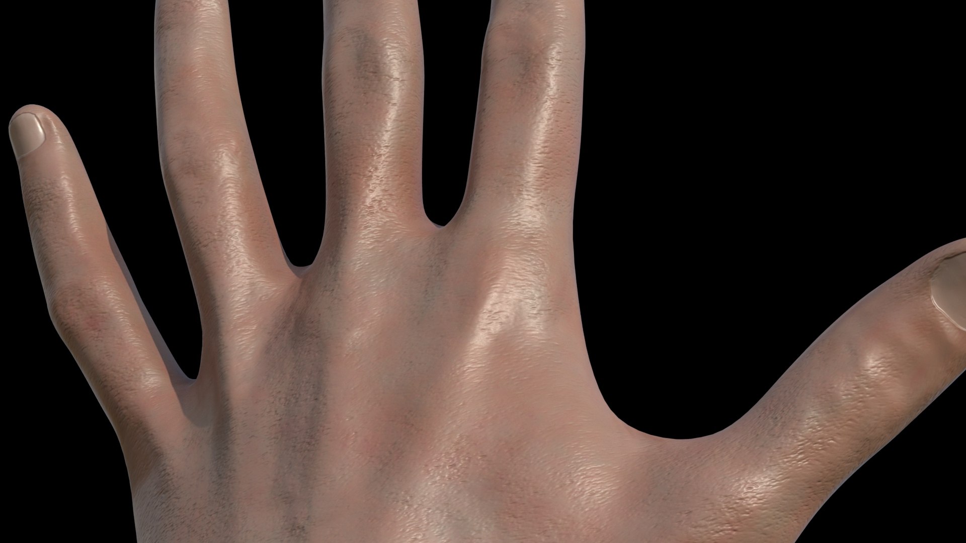 Hand Lowpoly Model - TurboSquid 2129425