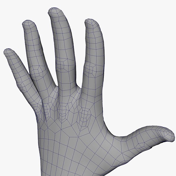 Hand 3D Models for Download | TurboSquid