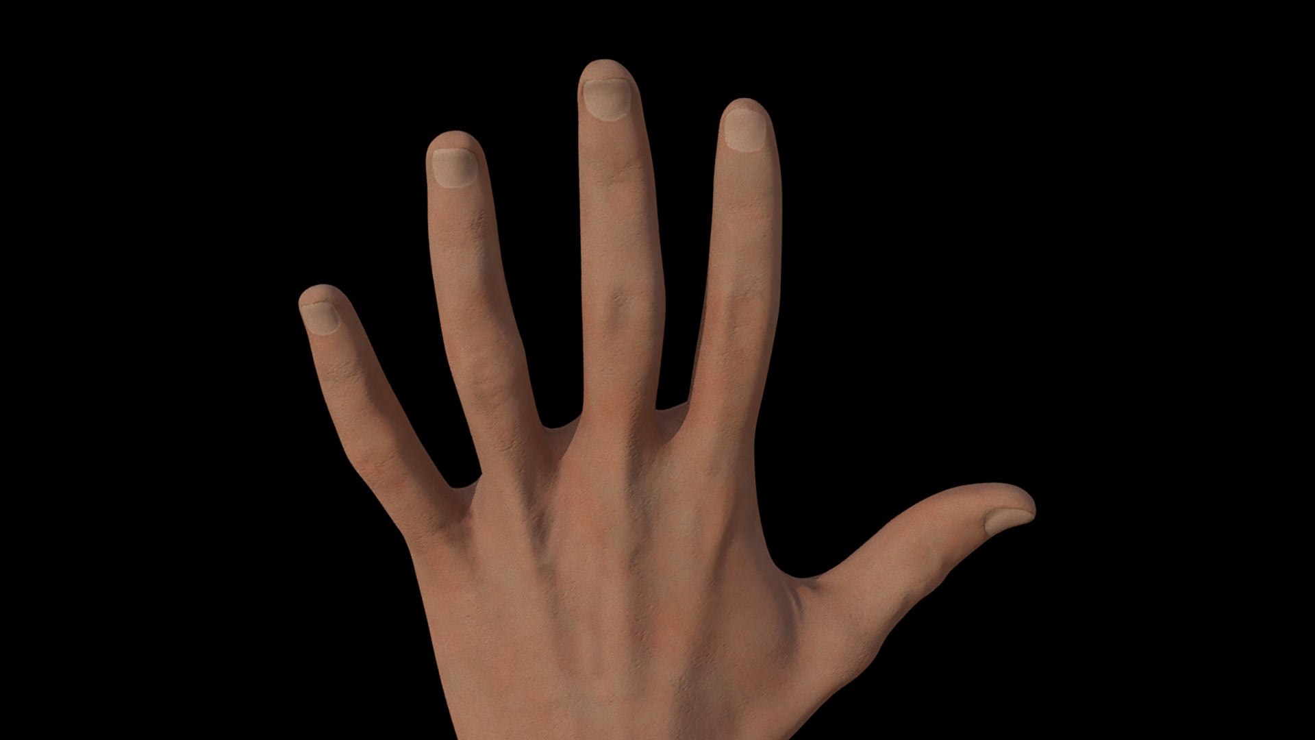 Hand Lowpoly Model - TurboSquid 2129425