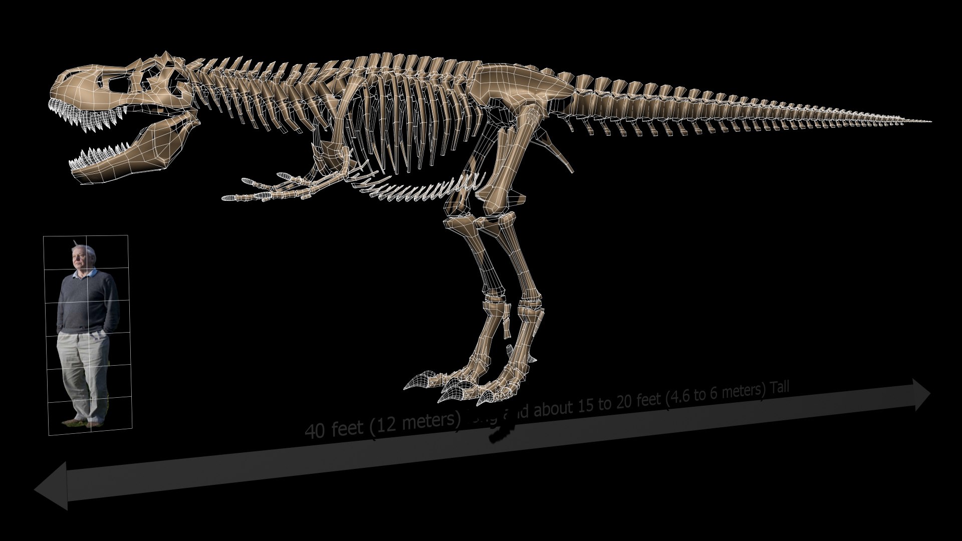 T Rex Stationary Walk Cycle 3D Model - TurboSquid 1225107