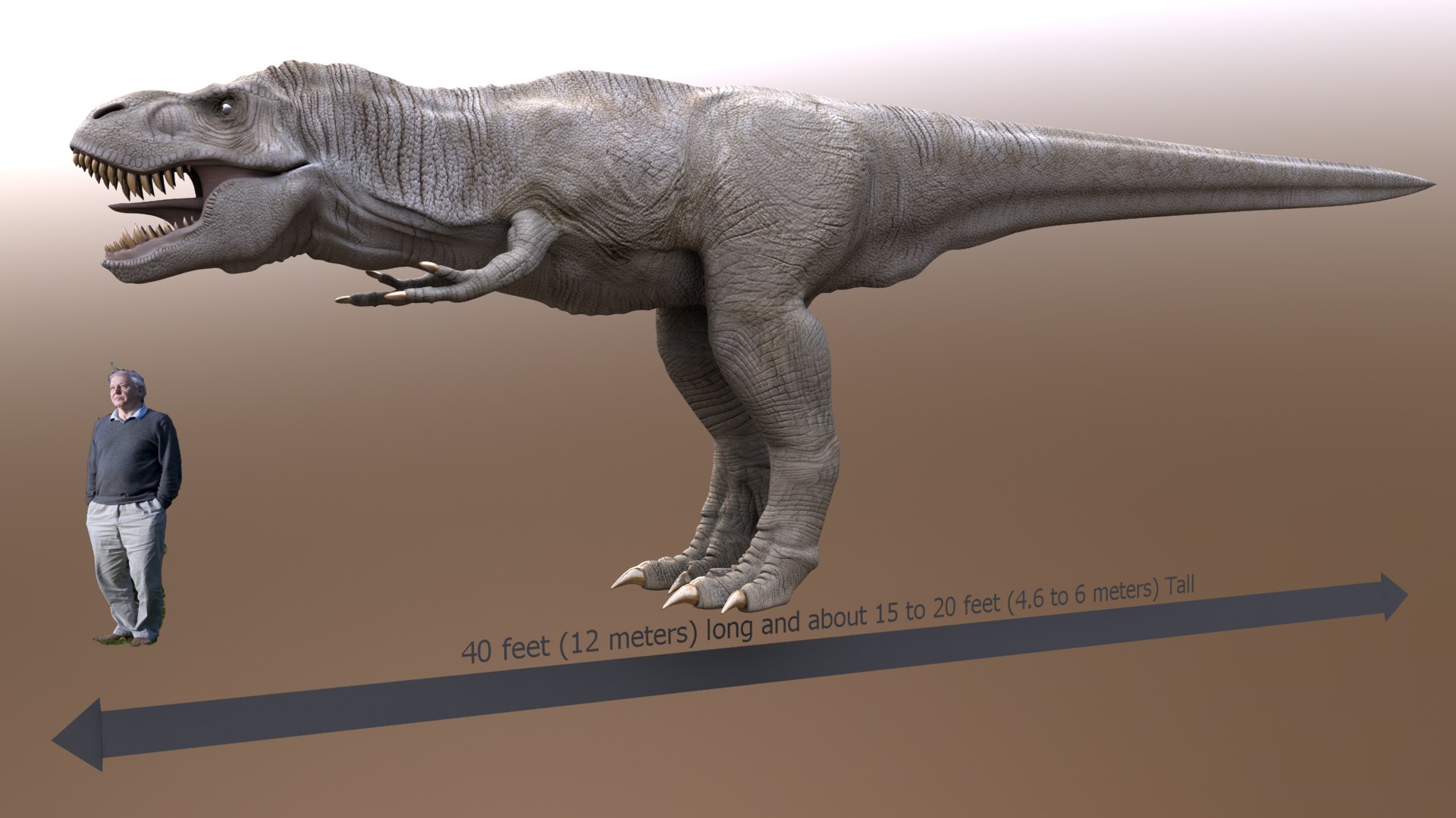 T Rex Stationary Walk Cycle 3D Model - TurboSquid 1225107