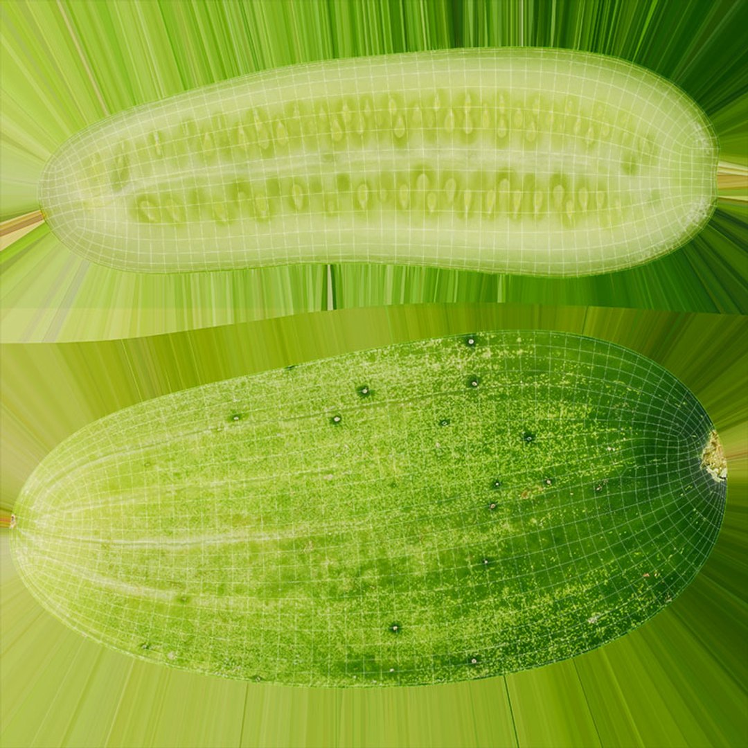 3D Half Cucumber 01 - TurboSquid 2059466