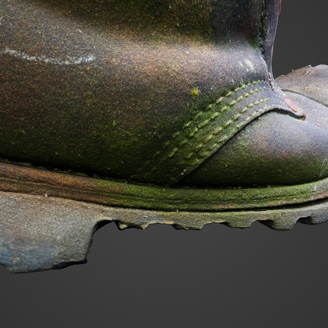 Old Boot Plants 3D Model - TurboSquid 1431563