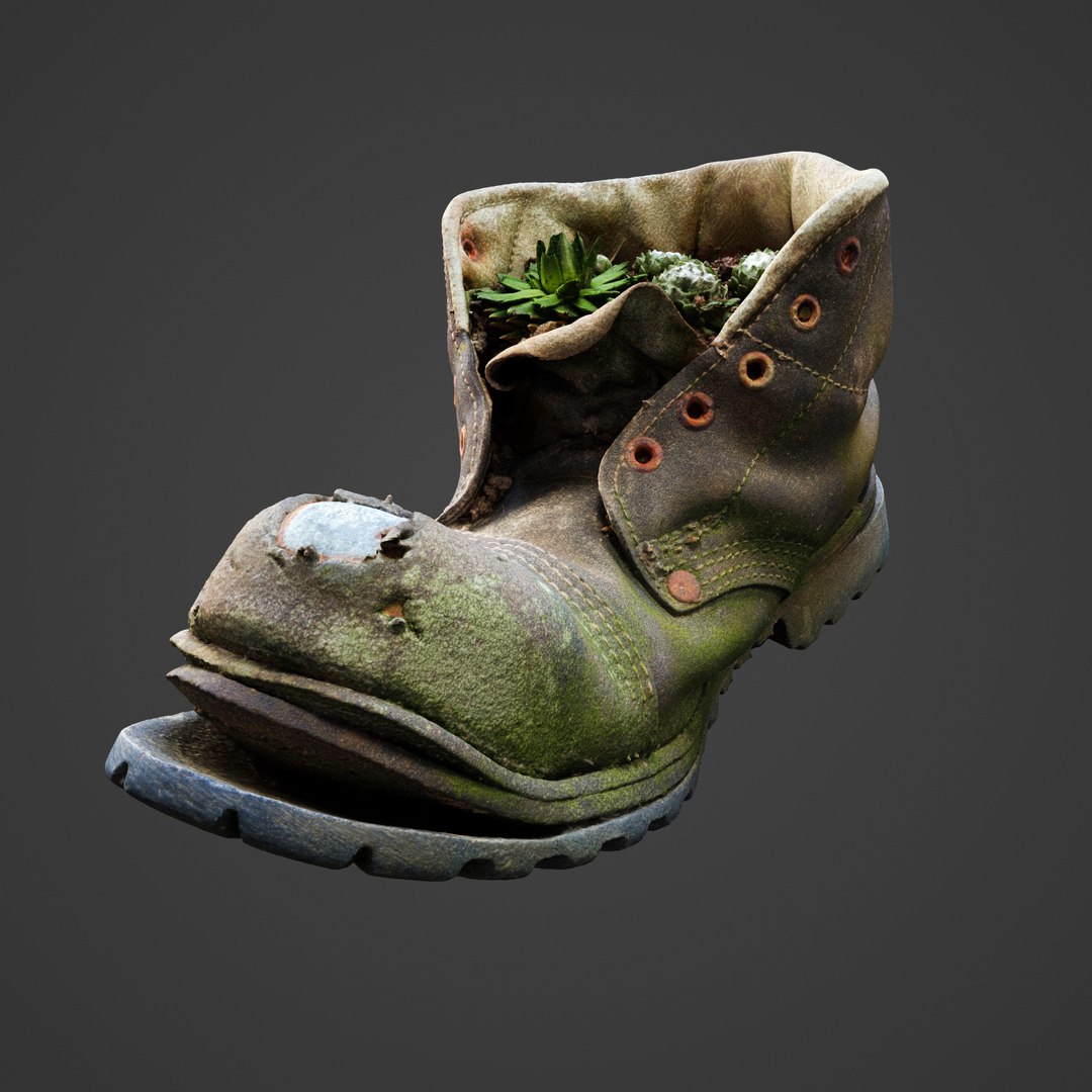 Old Boot Plants 3D Model - TurboSquid 1431563
