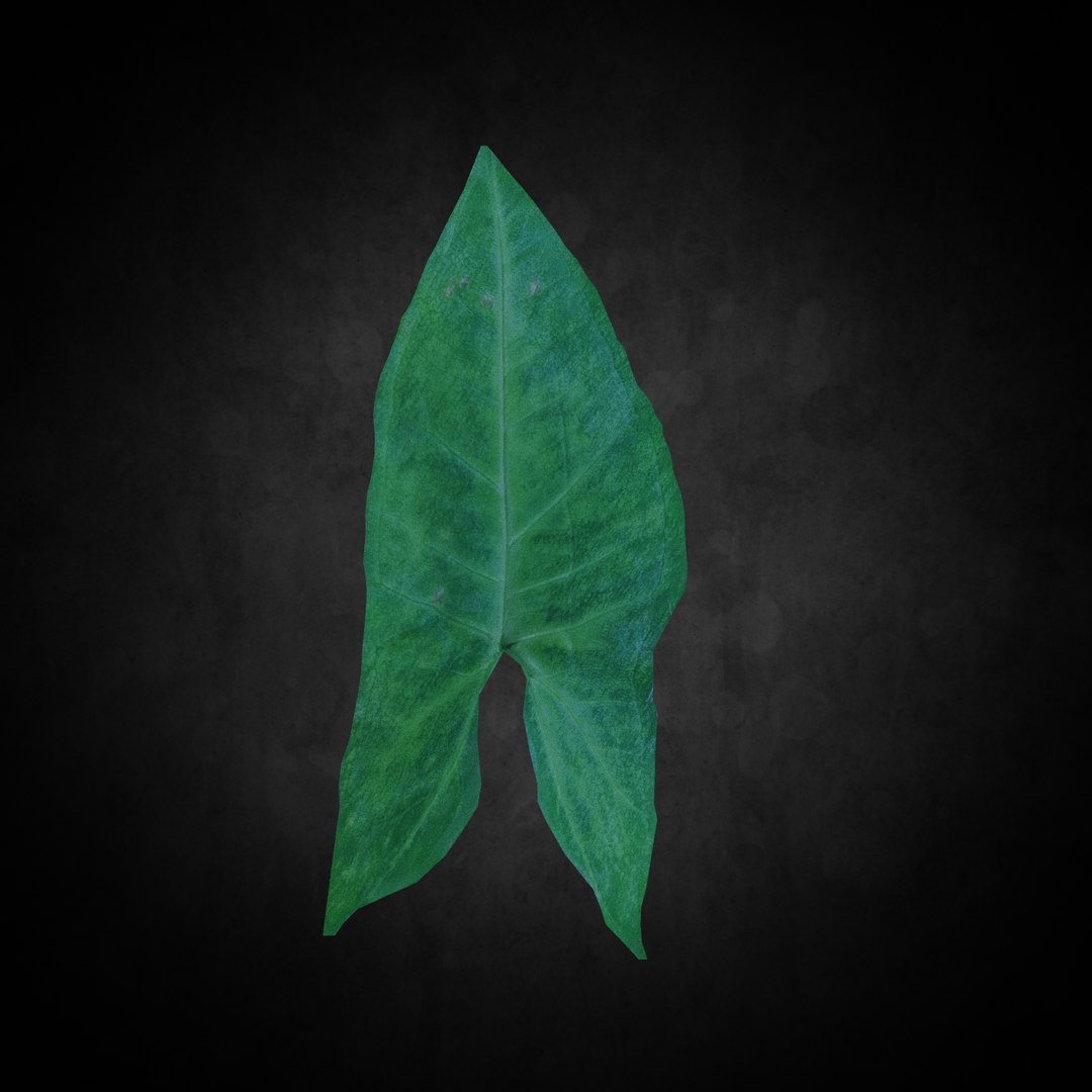Low Poly Leaf 066 3D Model - TurboSquid 1852450
