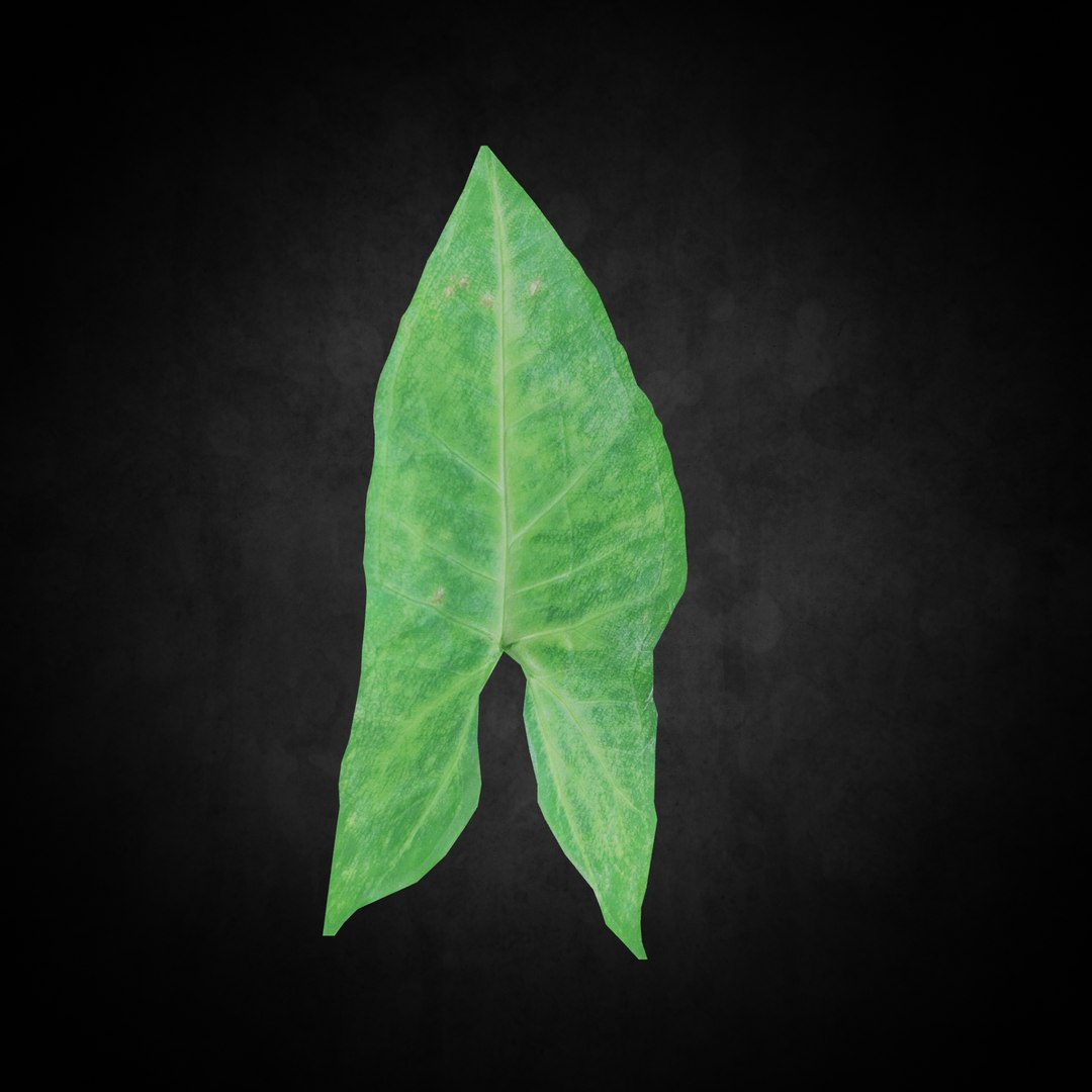 Low Poly Leaf 066 3D Model - TurboSquid 1852450