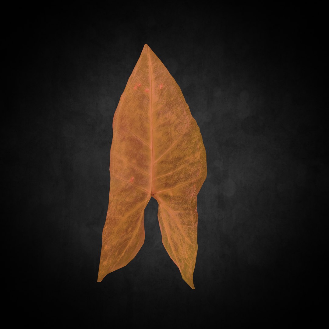 Low Poly Leaf 066 3D Model - TurboSquid 1852450