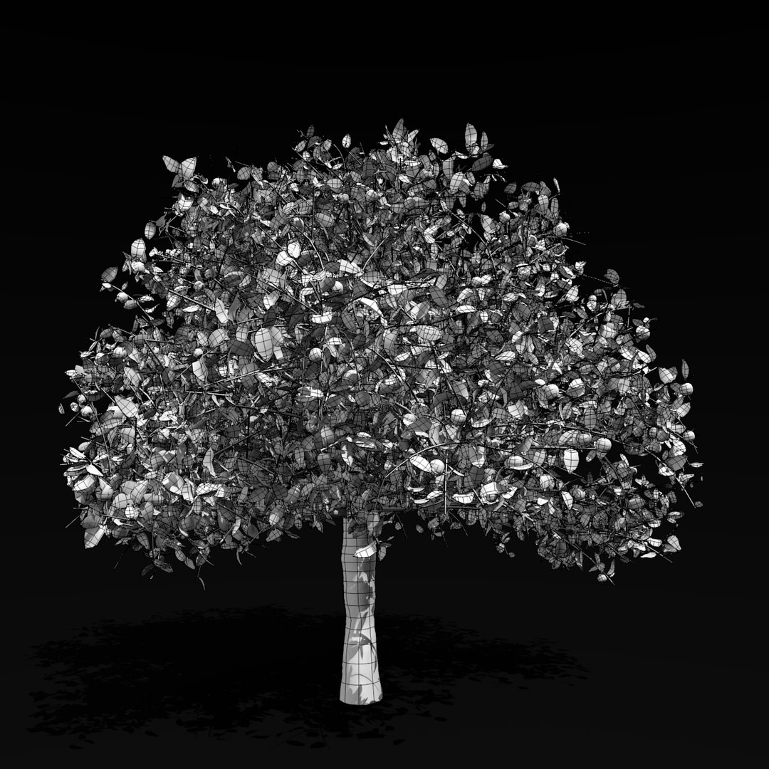 Apple Tree 3D - TurboSquid 791448