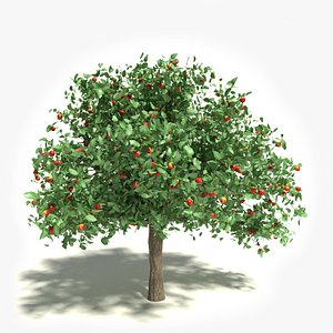 Free 3D Apple-Tree Models | TurboSquid