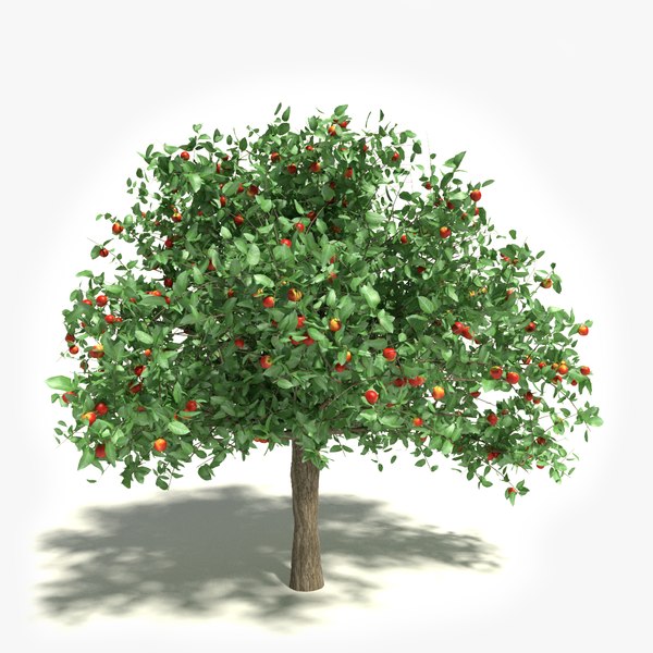 Nature Apple-Tree 3D Models for Download | TurboSquid