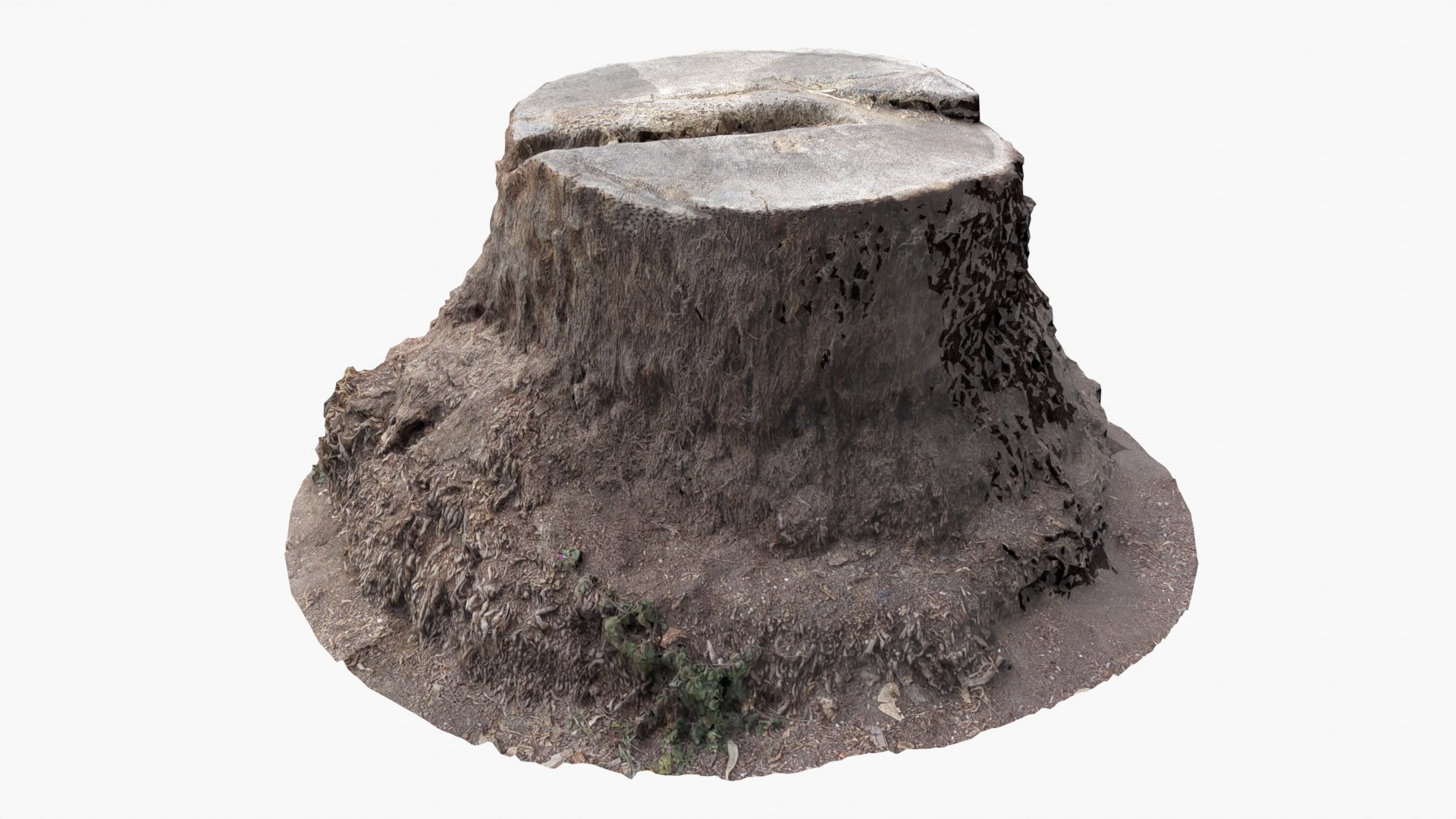 3D TREE STUMP 4 model - TurboSquid 2012237