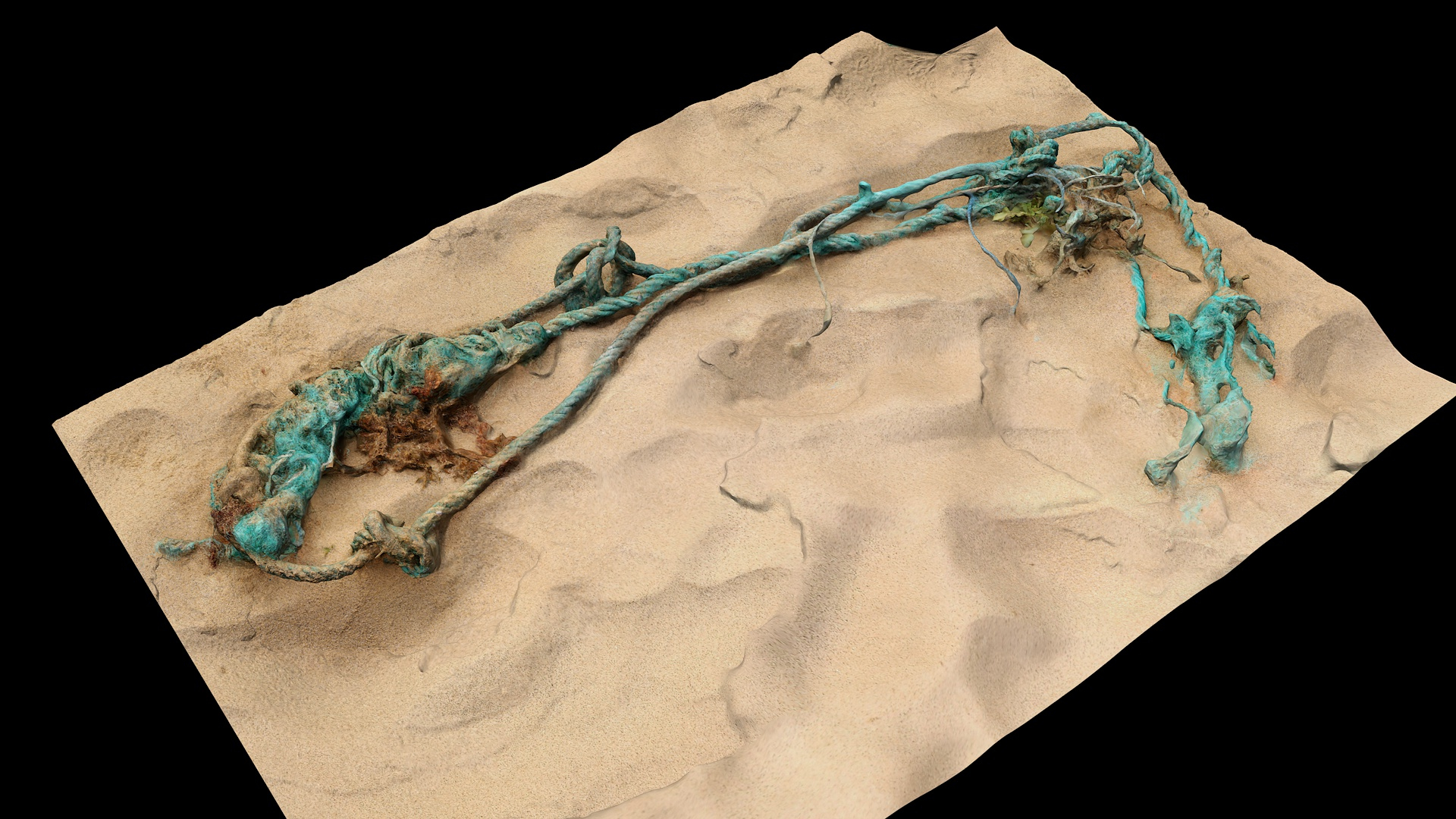 Free 3D Ocean Beach Scan 028 Low Res - TurboSquid 2180550