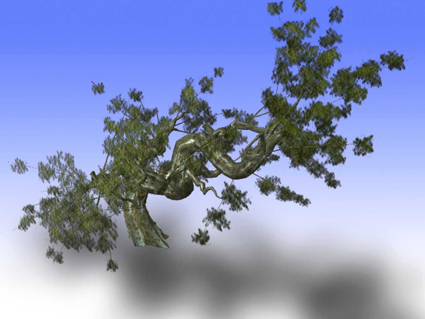 Tree Trunk 3d Obj