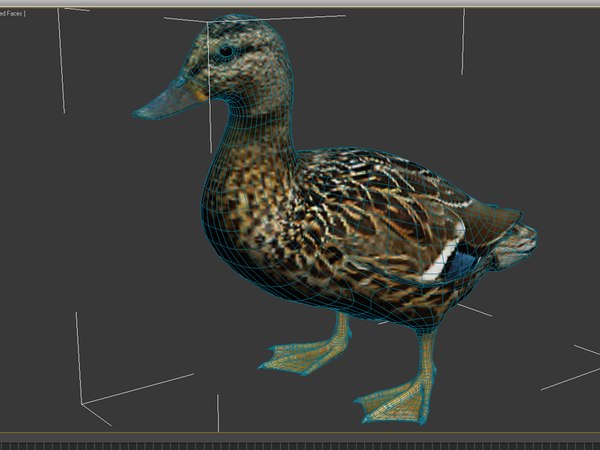 3d model duck