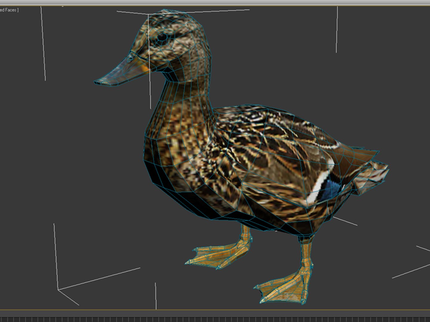 3d Model Duck