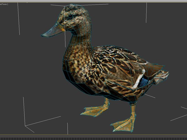 3d model duck