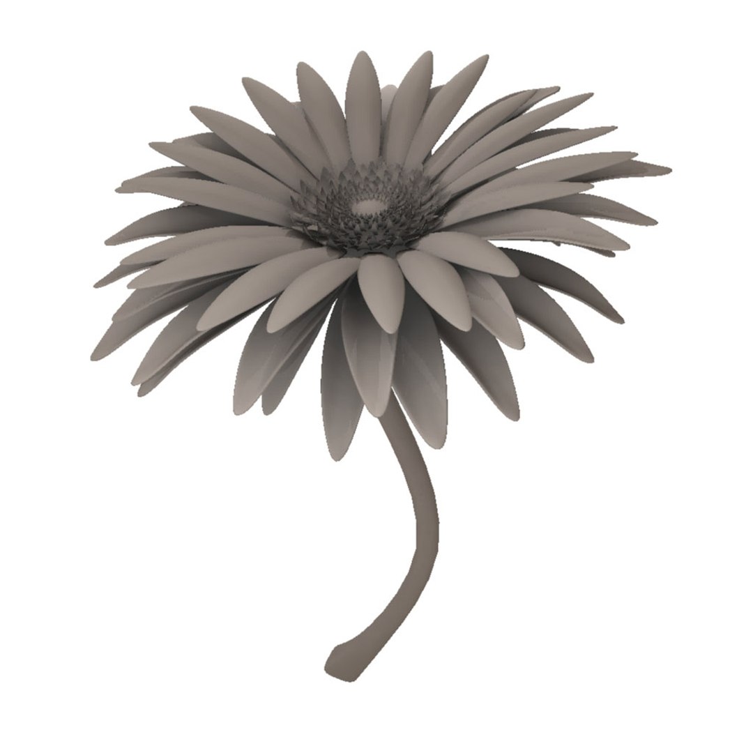 Gerbera Modeled 3d Model