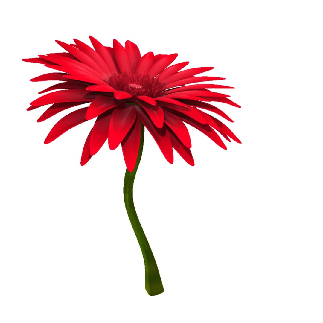 Gerbera Modeled 3d Model