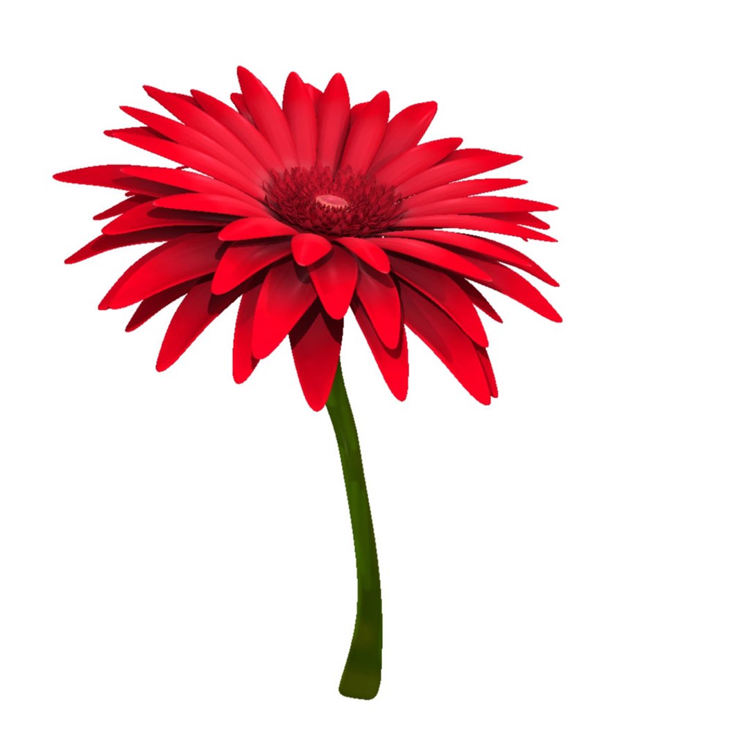Gerbera Modeled 3d Model