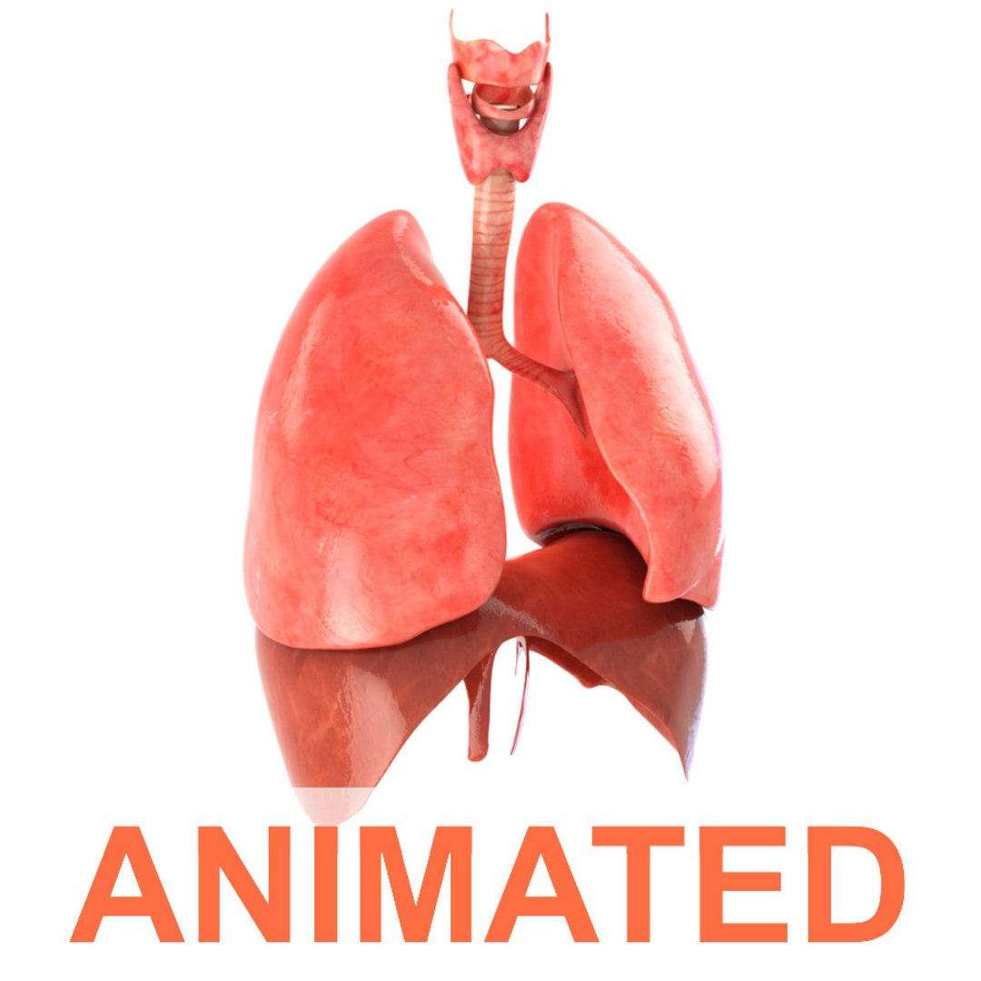 animated lungs