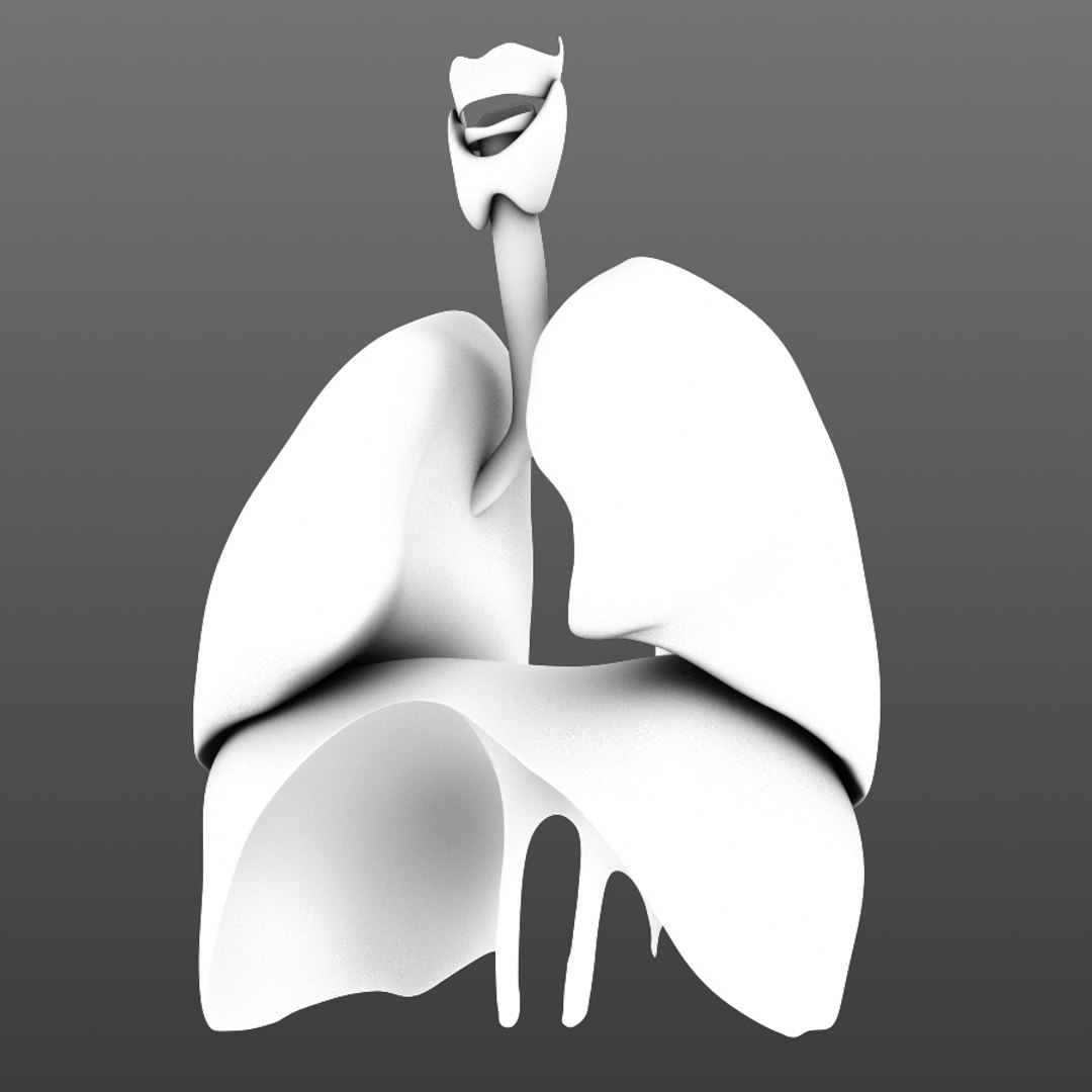 3d Realistic Human Lungs Animation