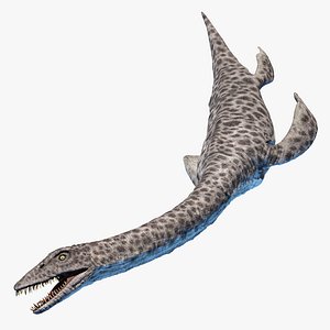 3D Plesiosaur Models - Browse & Download Formats - TurboSquid