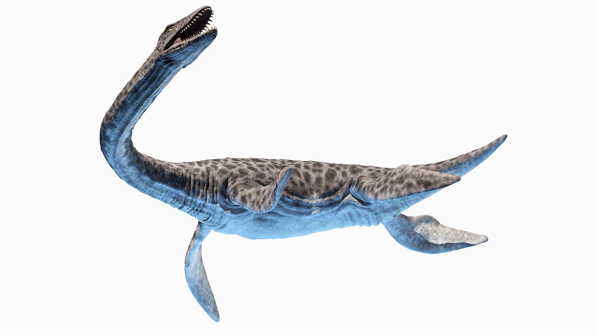 Plesiosaurus 3D - TurboSquid 1664130