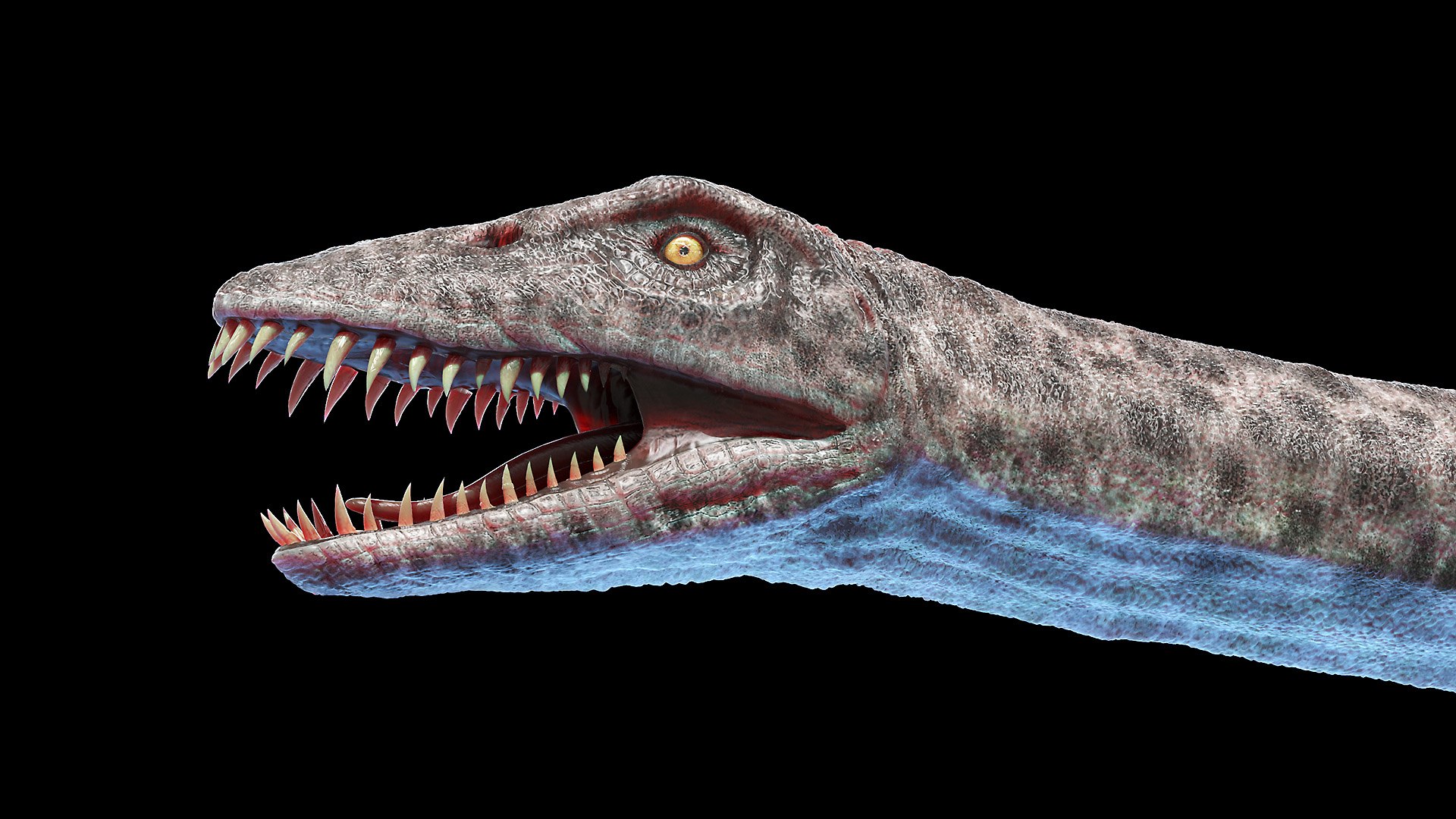 Plesiosaurus 3D - TurboSquid 1664130